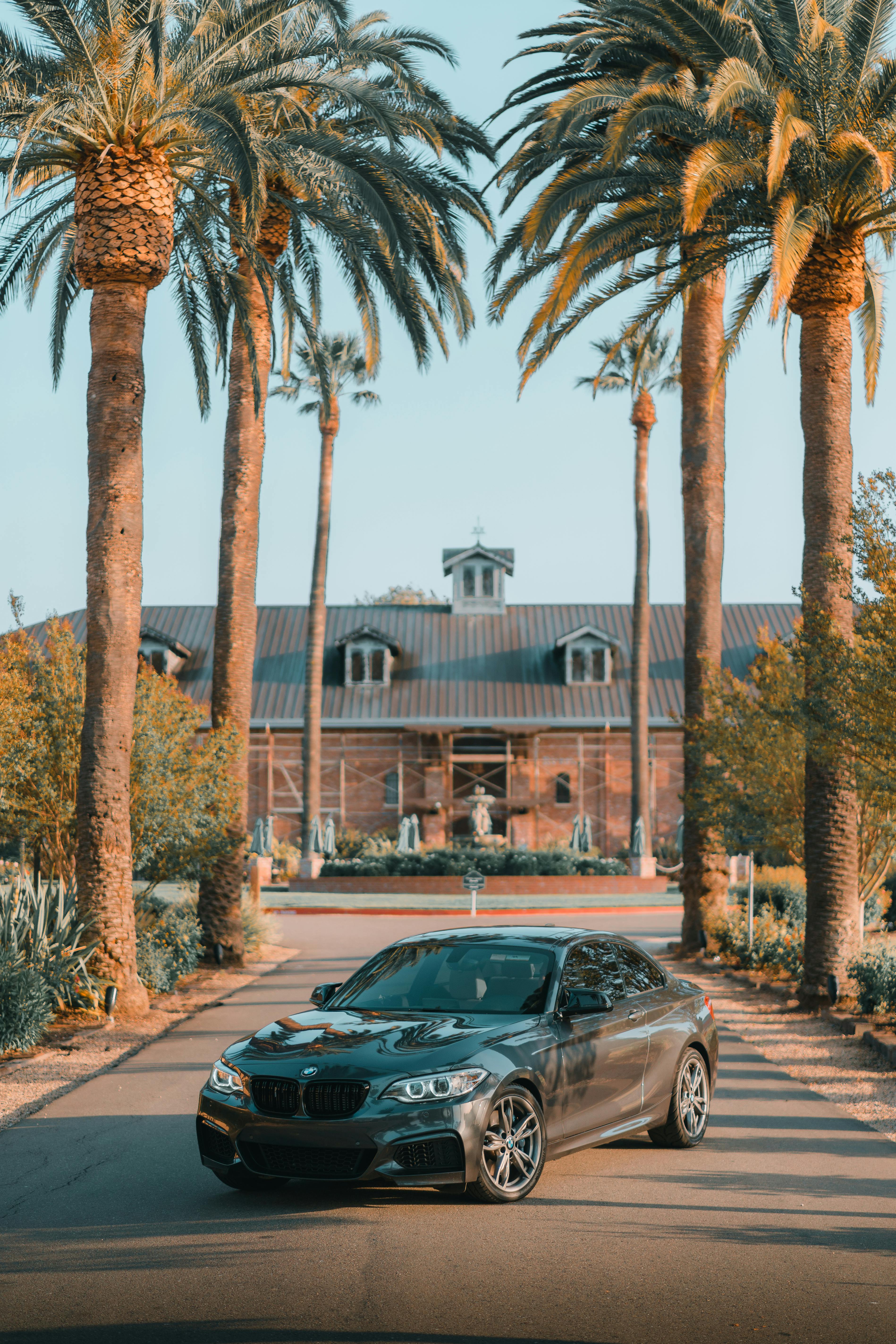 Car in Between Palm Trees · Free Stock Photo