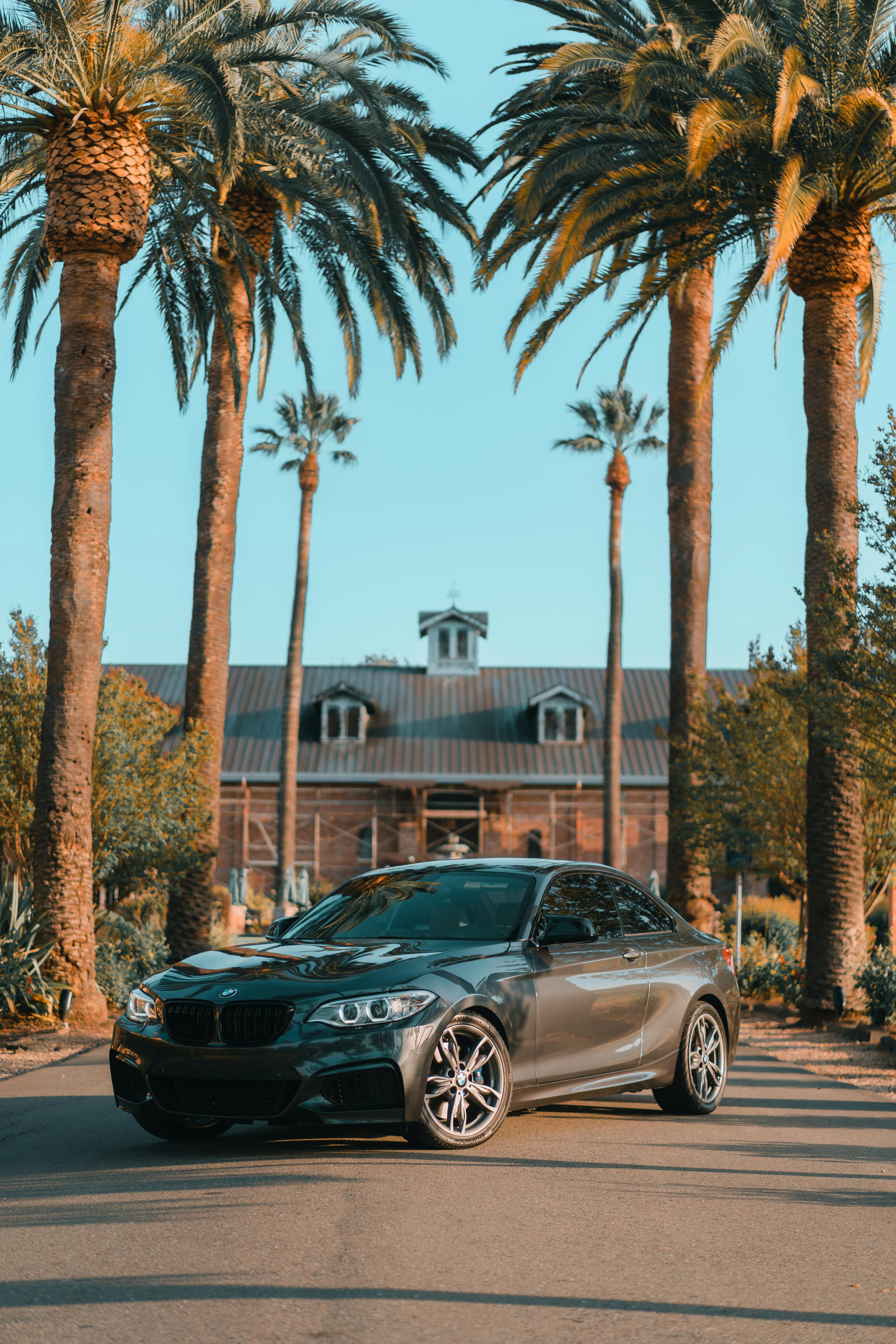 A Car on a Driveway · Free Stock Photo