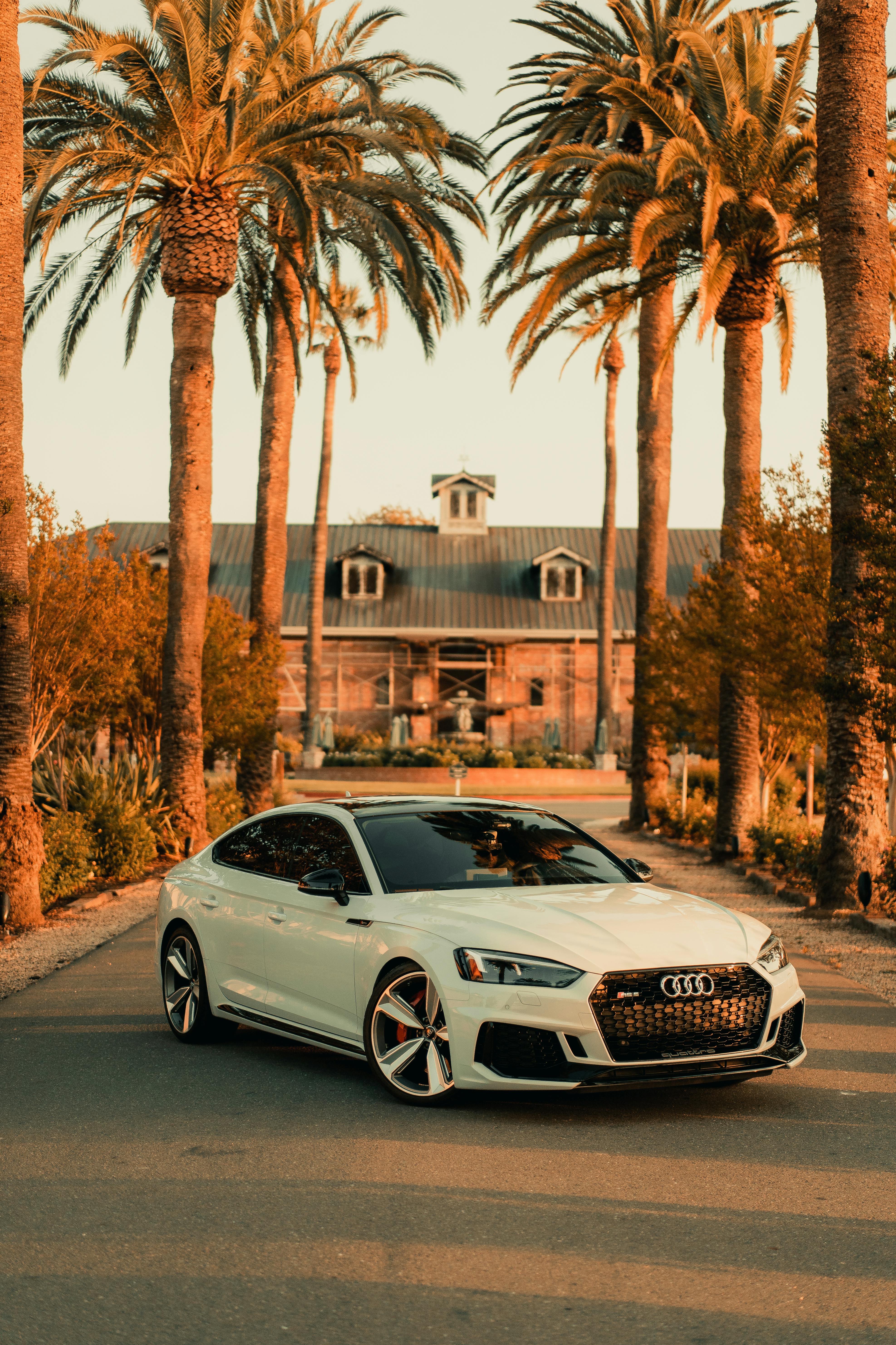 Photo of White Audi Parked on Road · Free Stock Photo