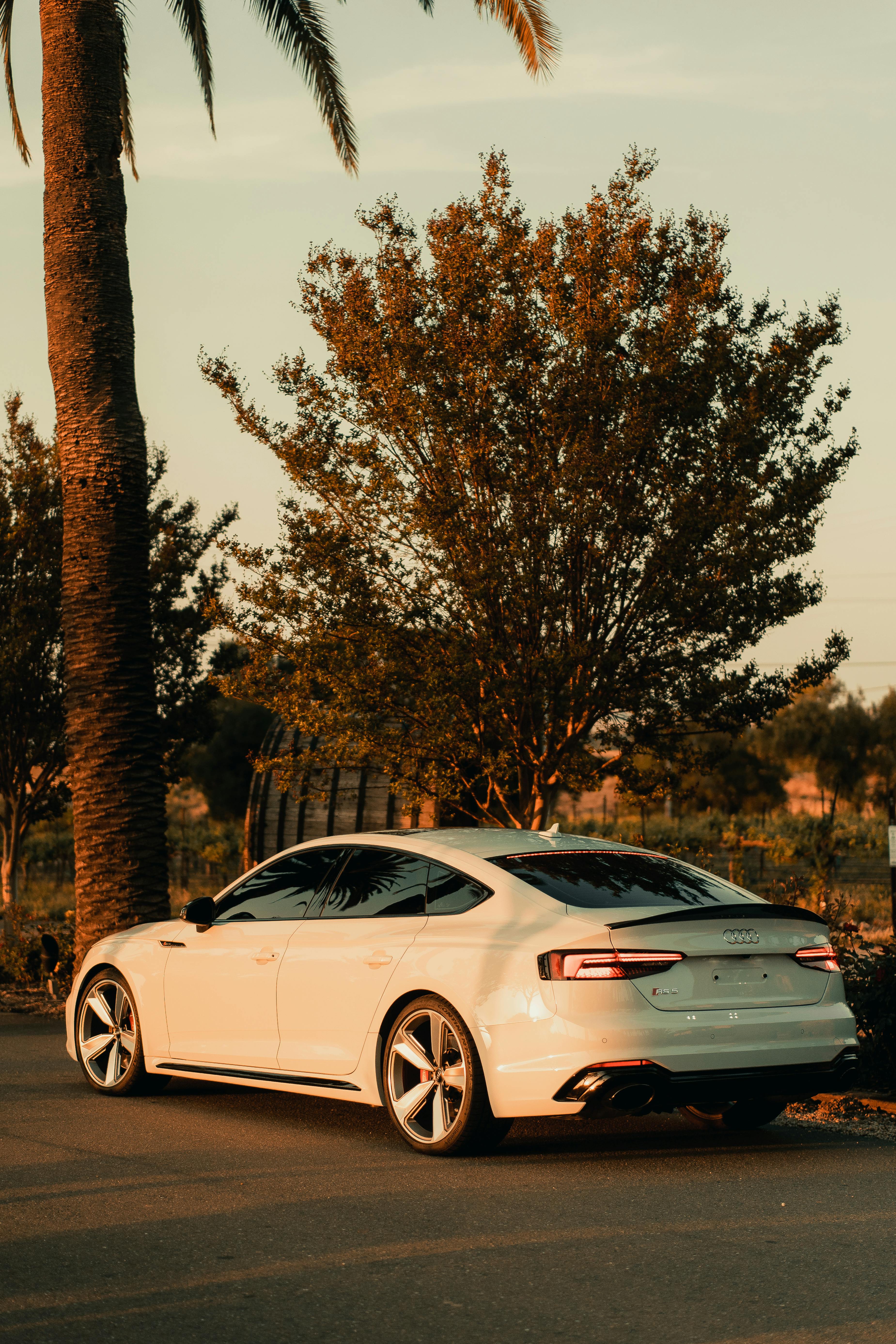 White Car Near a Tree · Free Stock Photo
