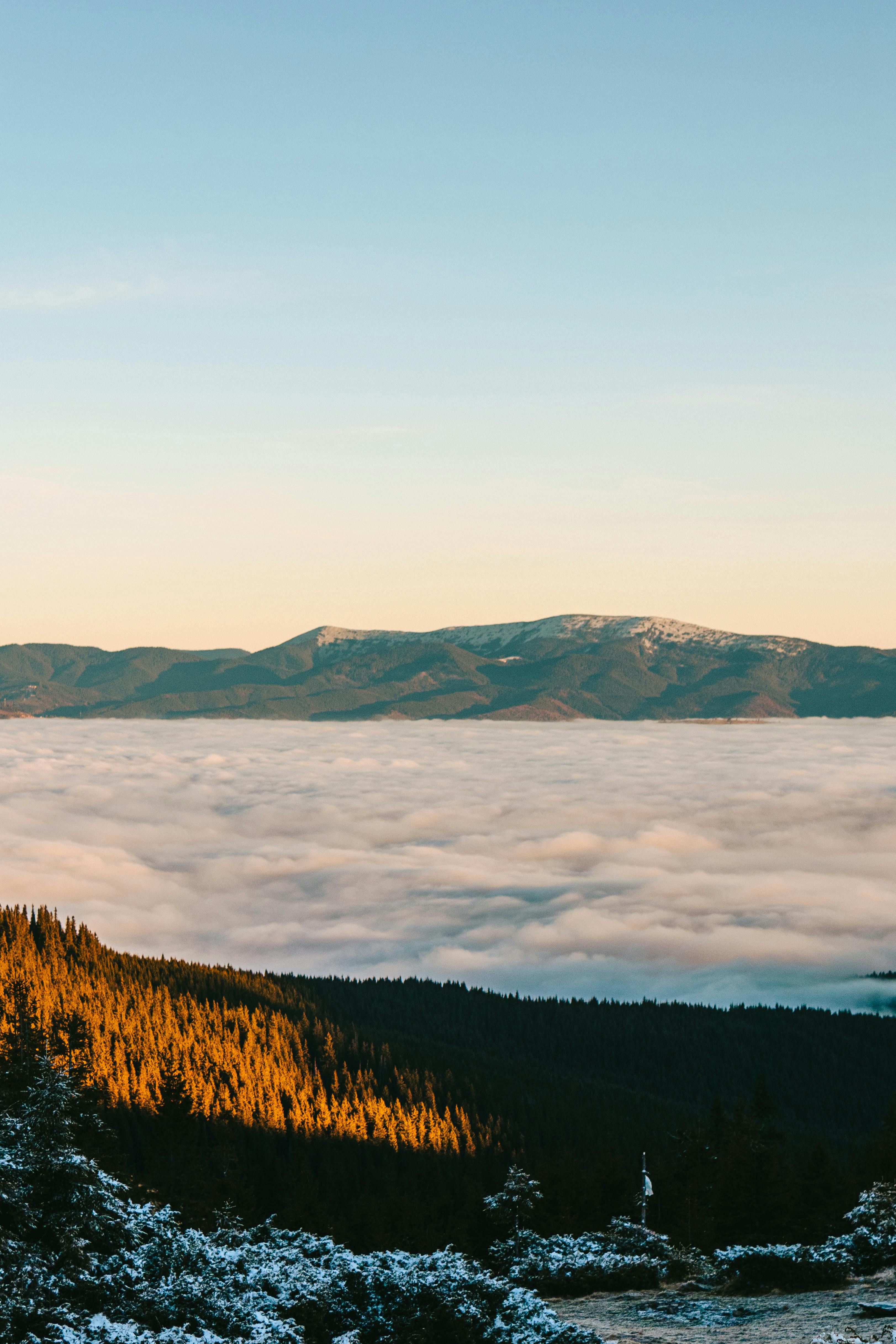 Aerial View of a Mountain · Free Stock Photo