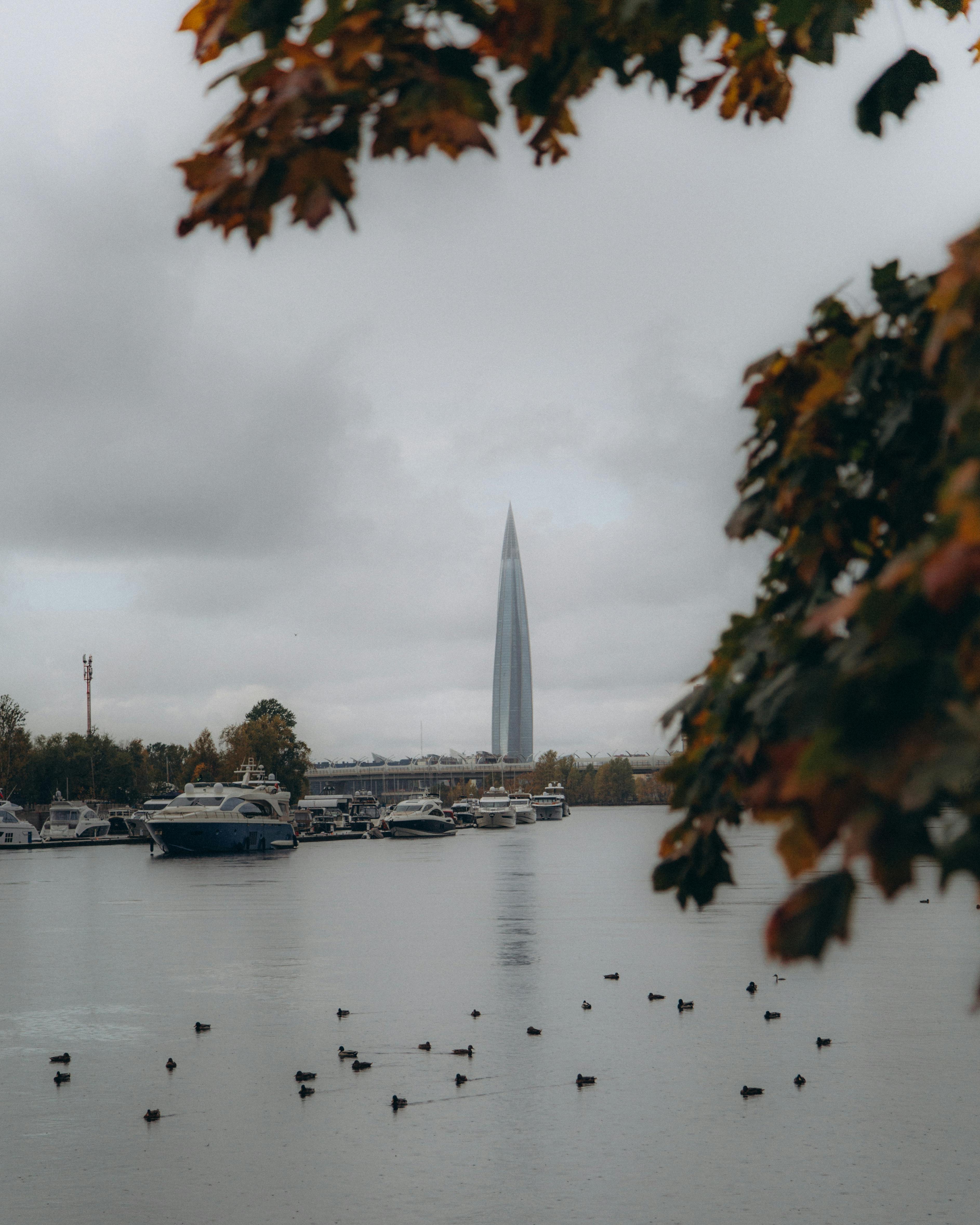 Photo of a Harbor · Free Stock Photo
