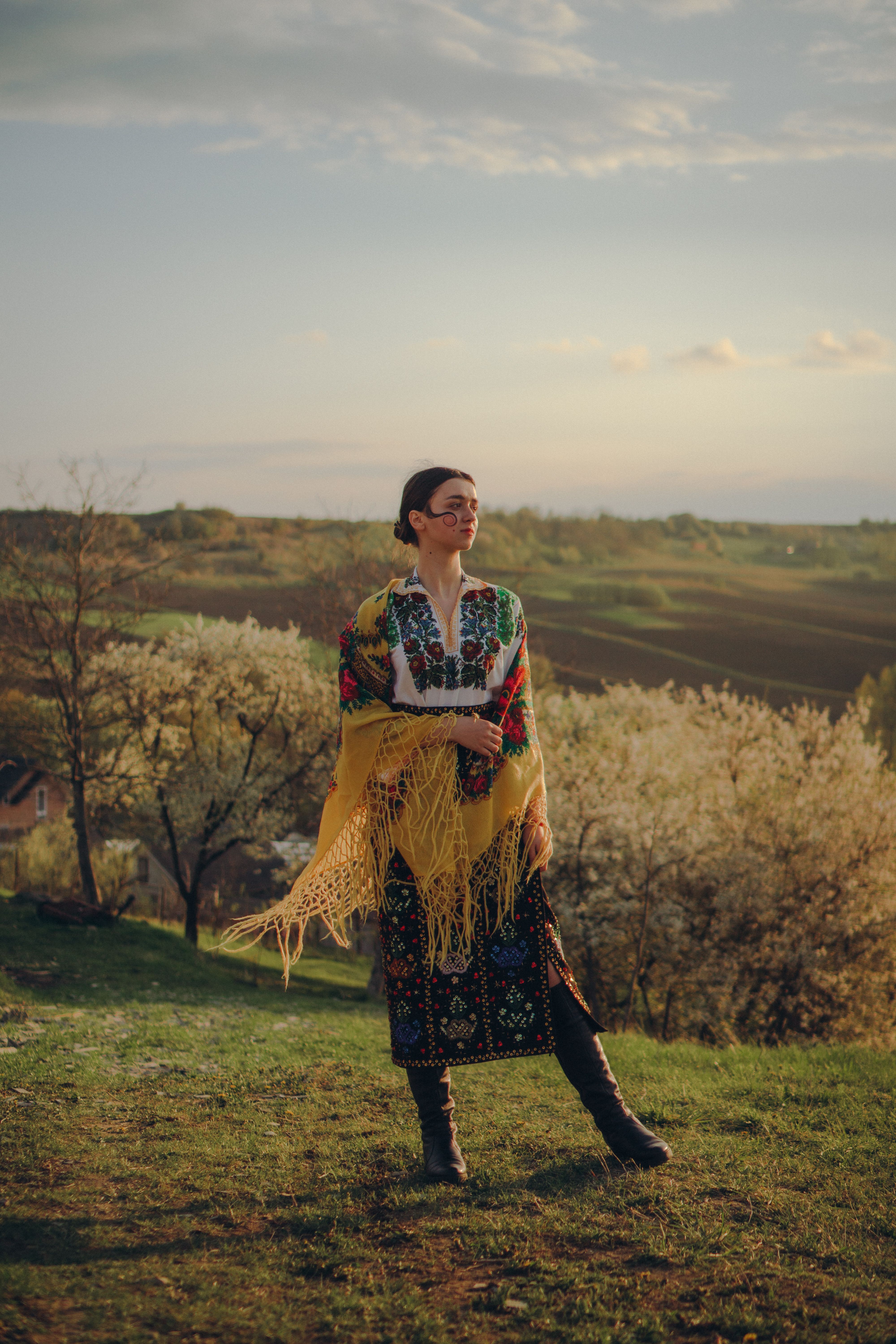 Woman in Folk Costume Standing in Field · Free Stock Photo