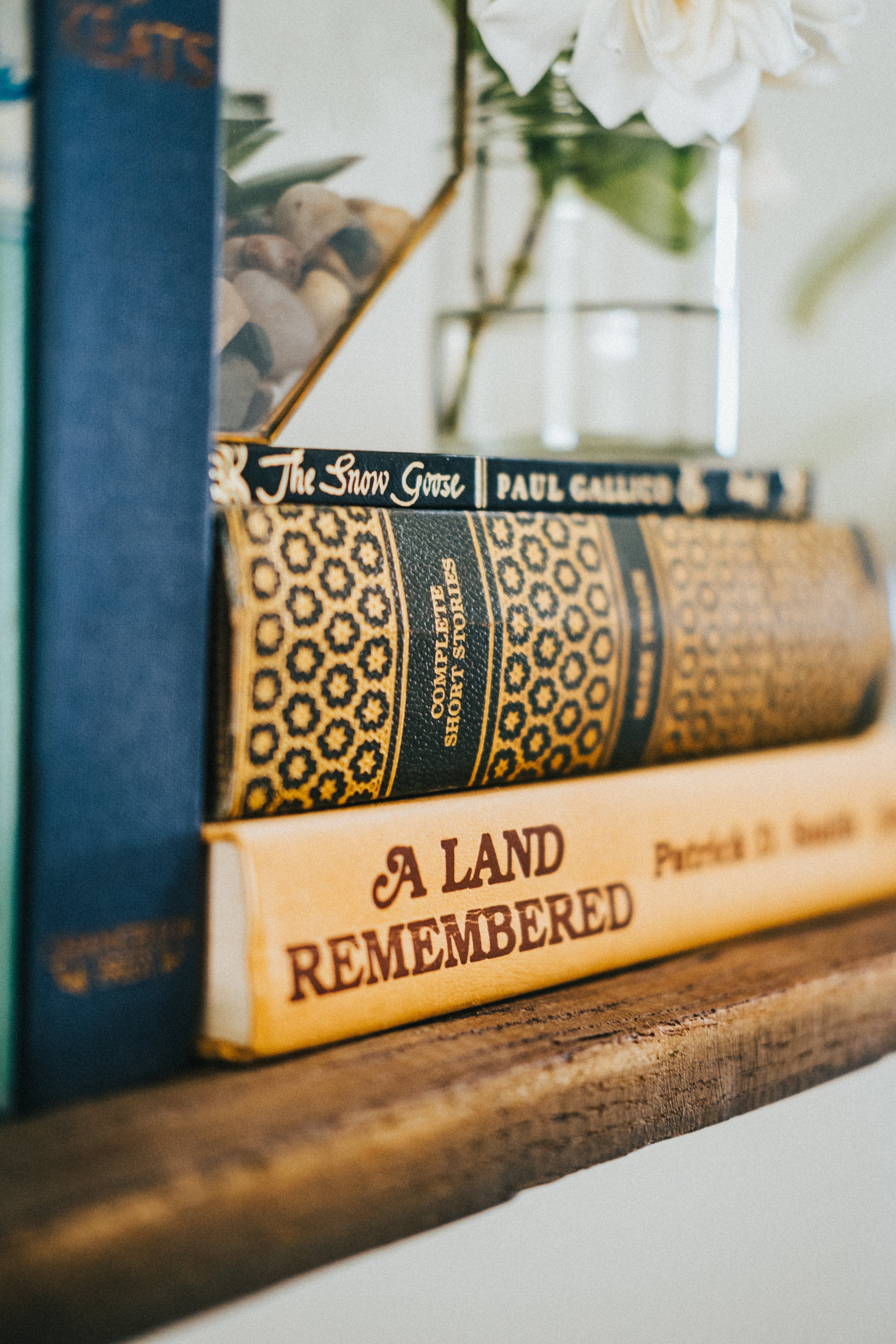 A Land Remembered Photos, Download The BEST Free A Land Remembered ...
