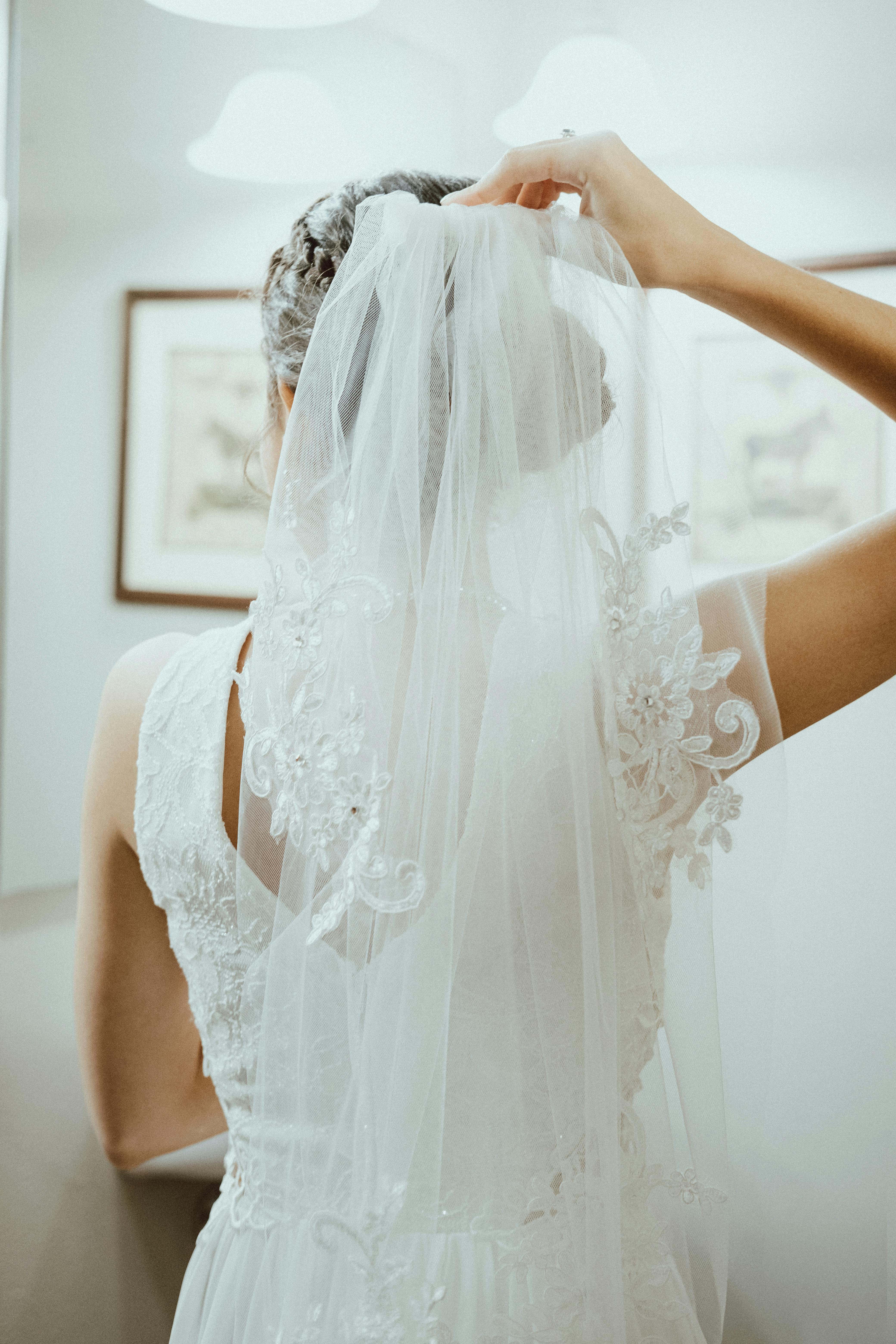 Backview of Bride in White Veil · Free Stock Photo