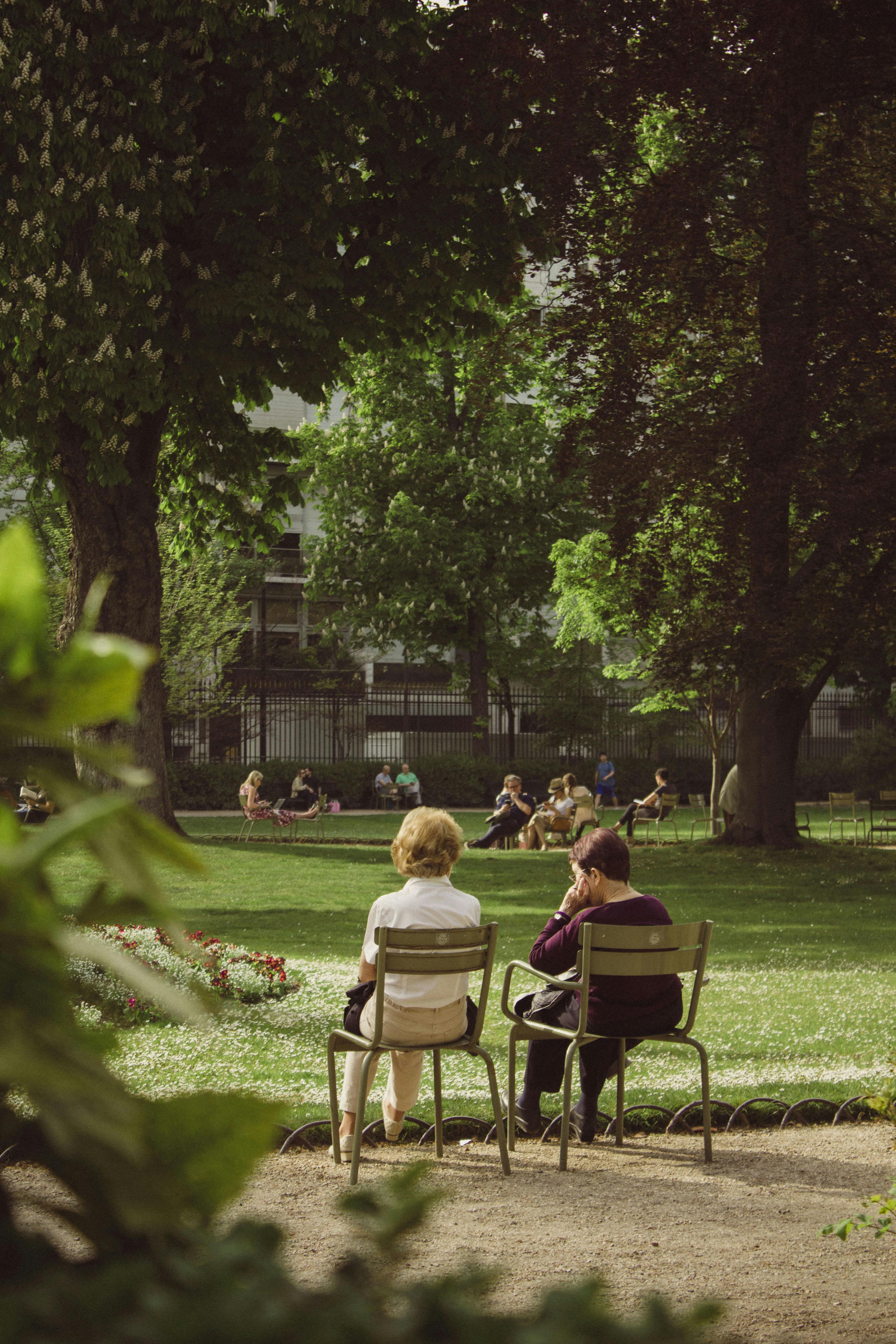 People Sitting on Chair Under Green Tree · Free Stock Photo