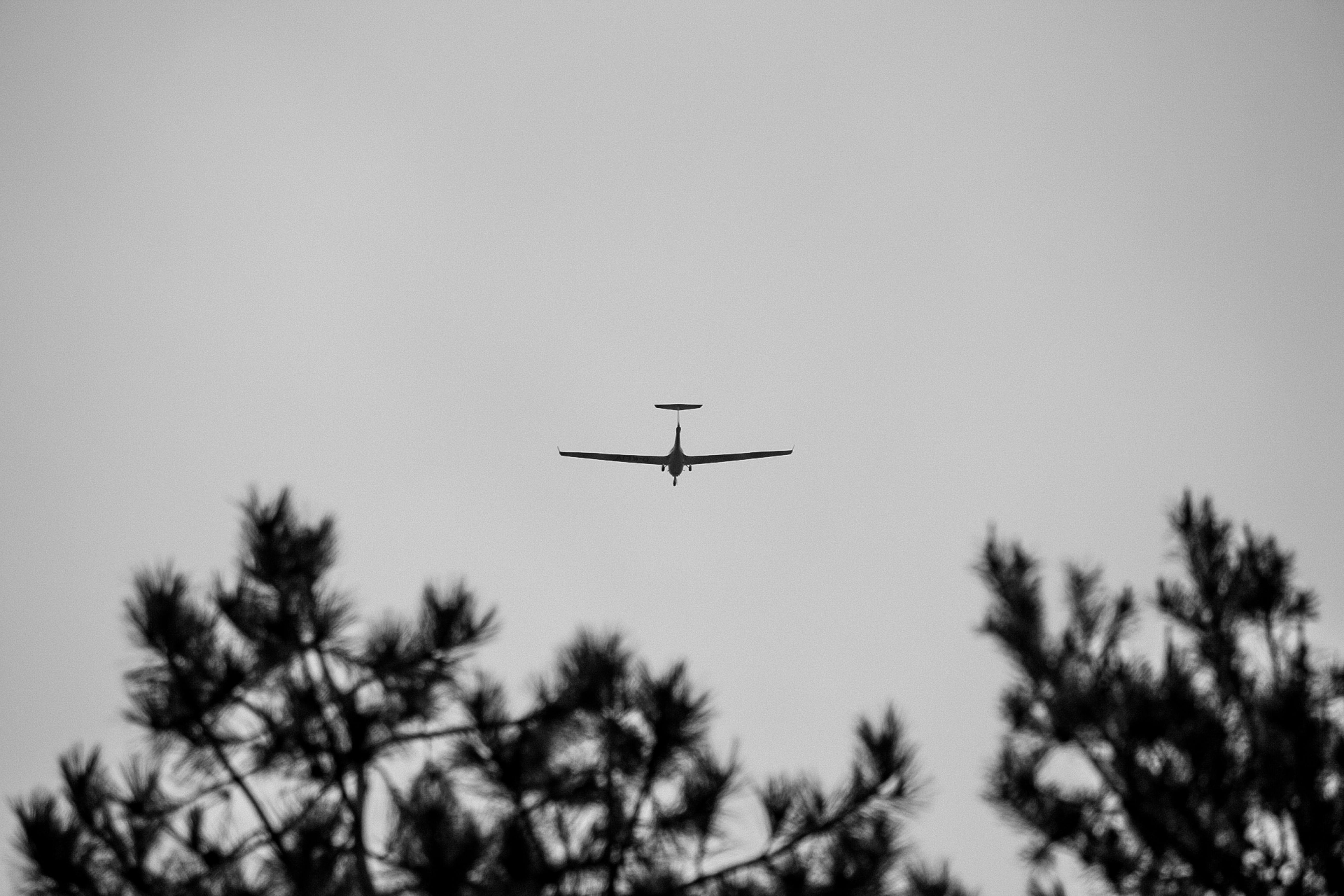 Airplane Flying Over Trees · Free Stock Photo