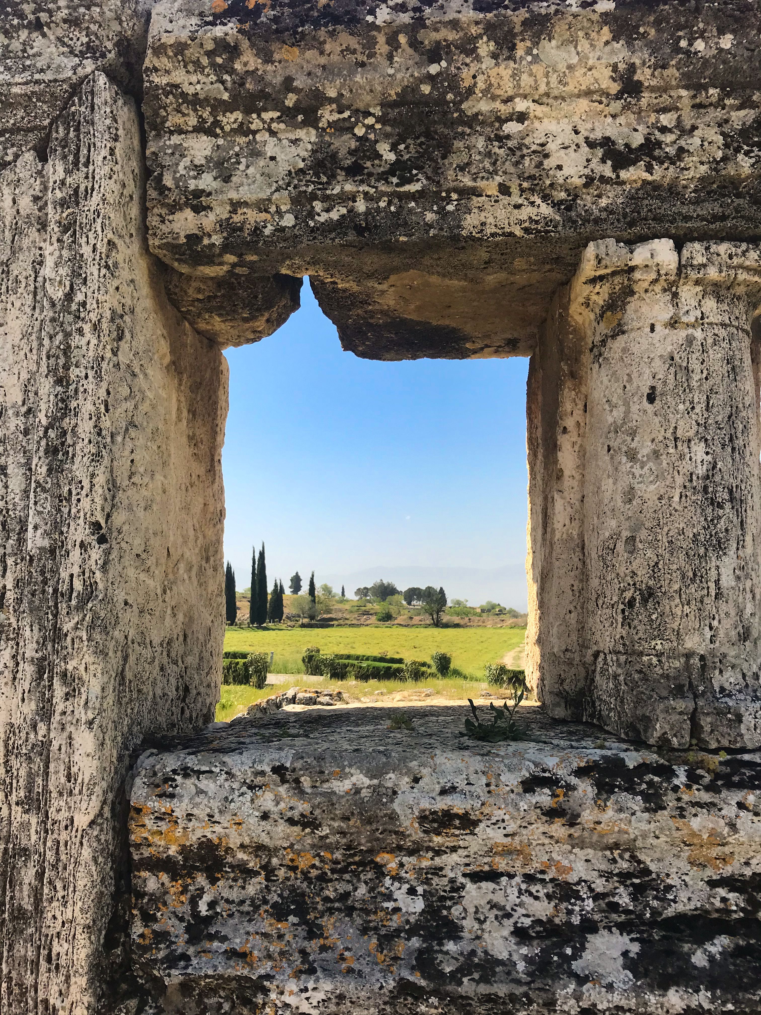 Foto de stock gratuita sobre agricultura, al aire libre, arboles, arco ...