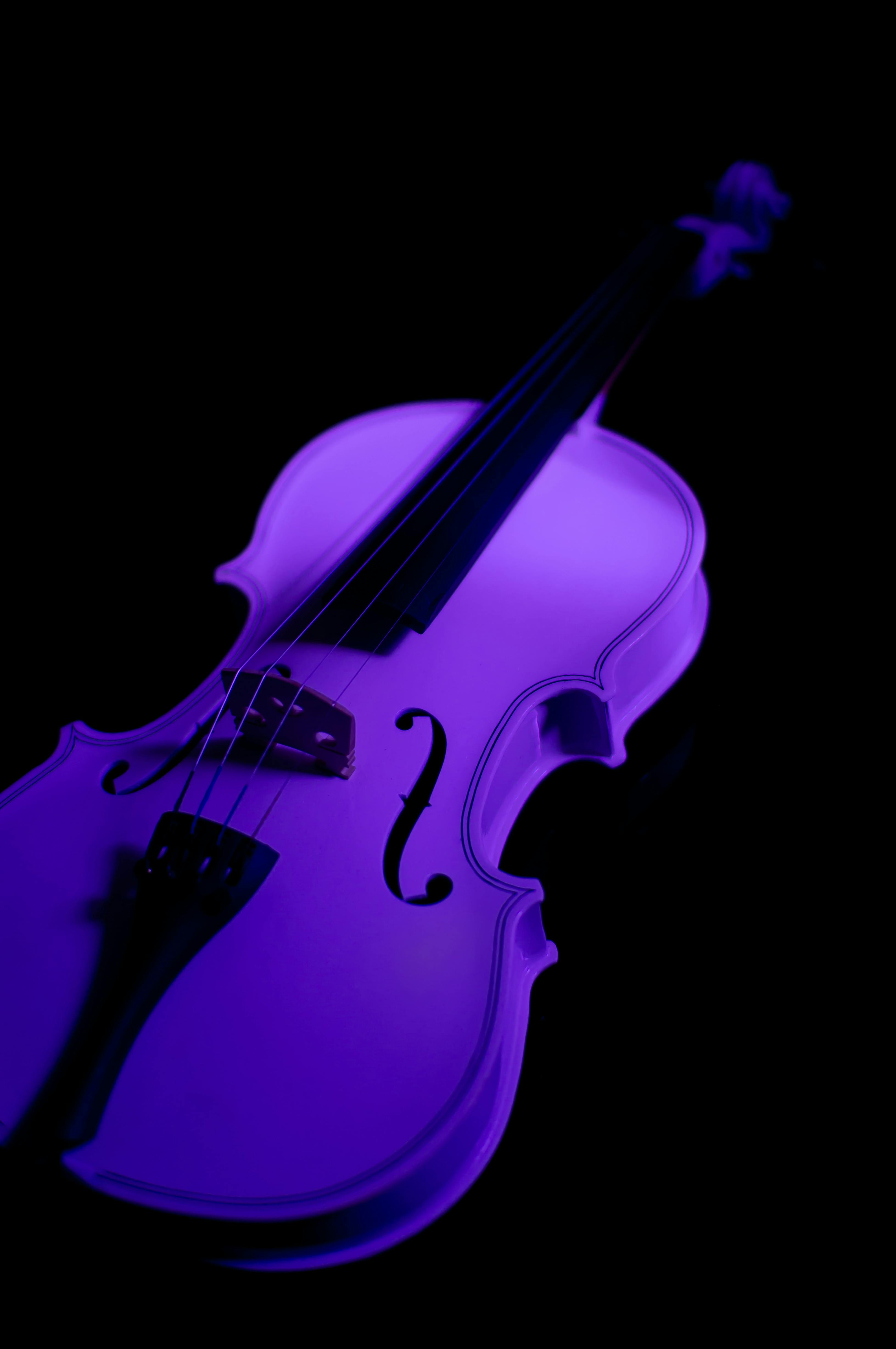 Dark Violin Photos, Download The BEST Free Dark Violin Stock Photos ...