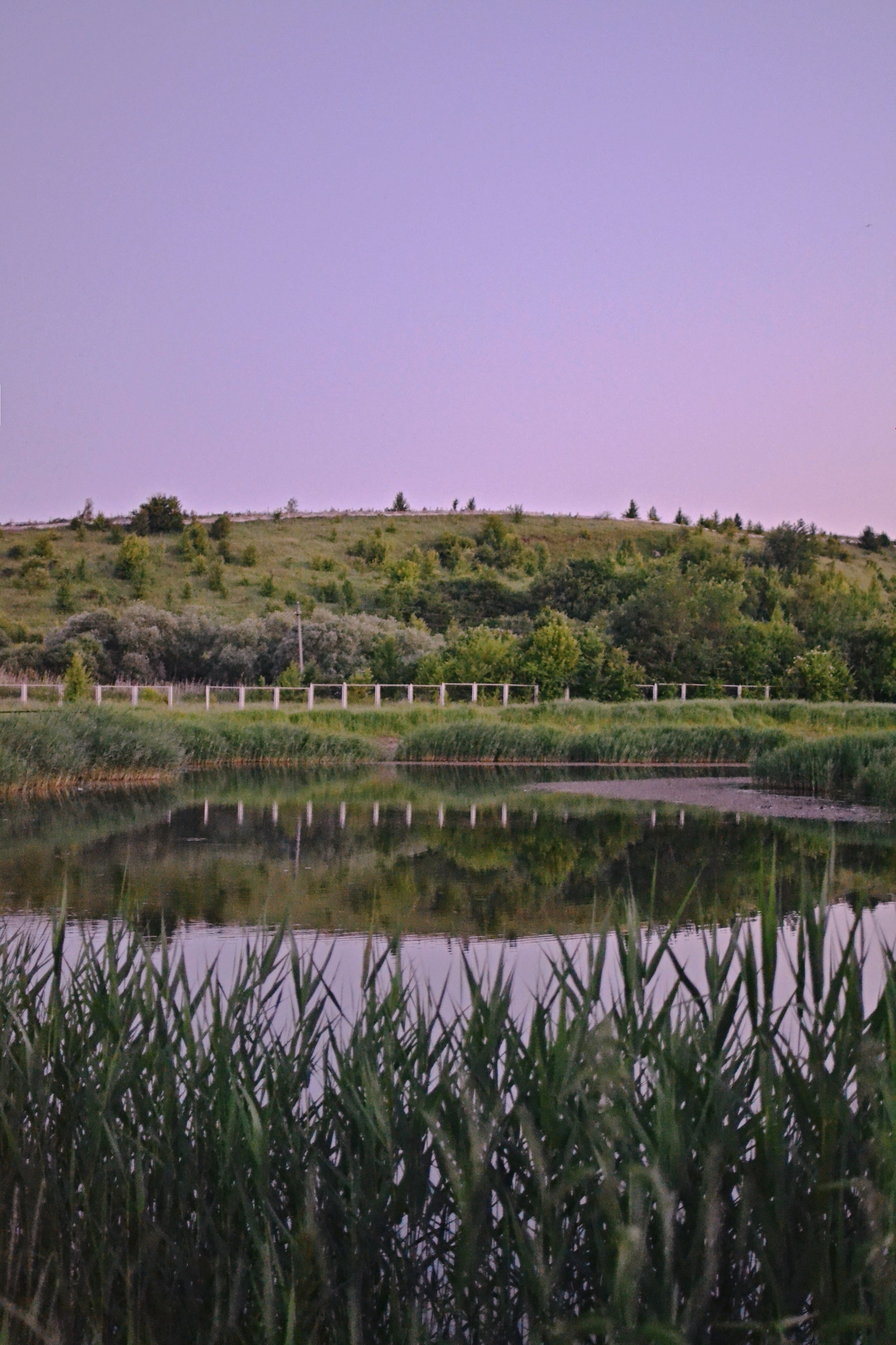 Green Grass Field Near Lake · Free Stock Photo