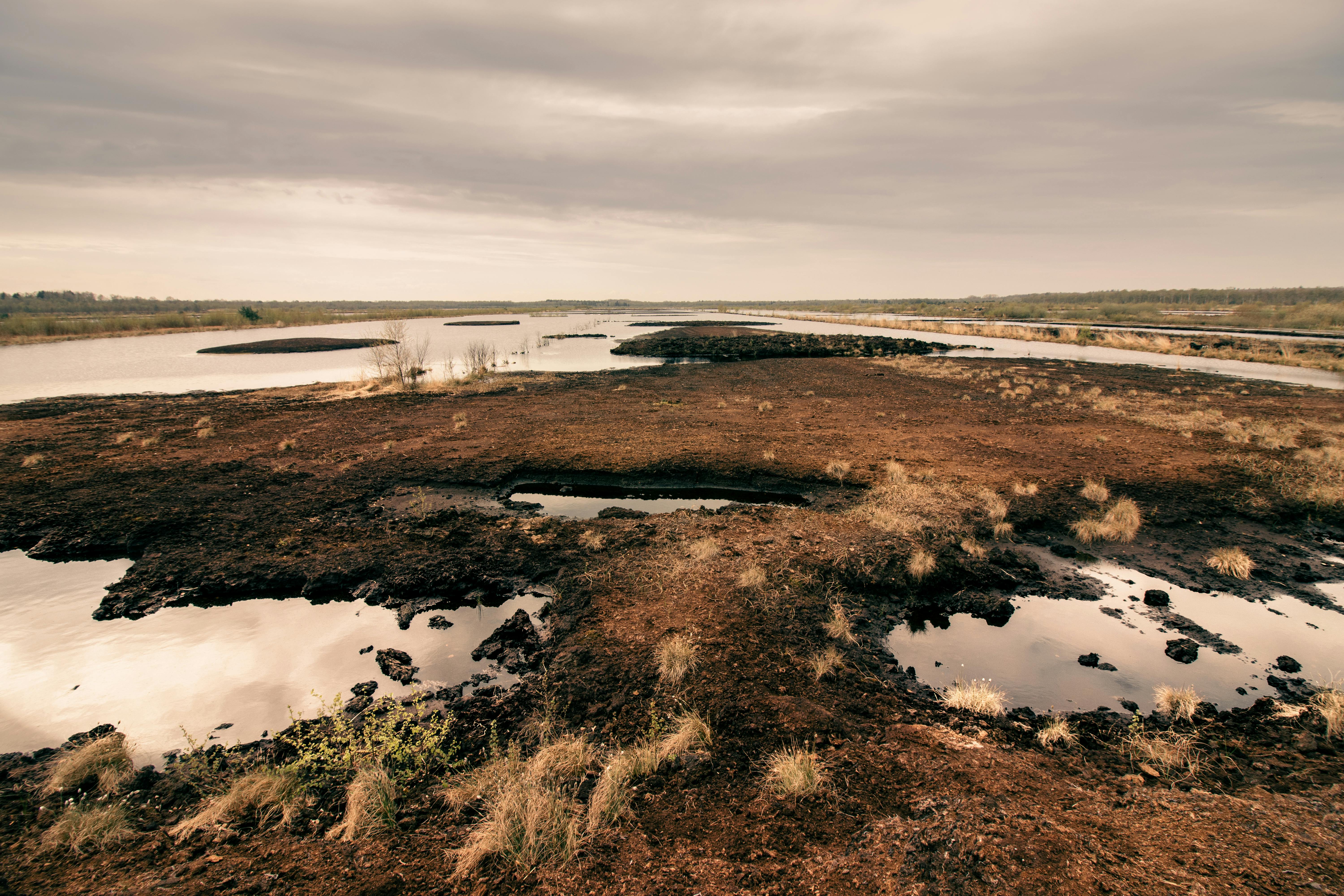 Body of Water Near Sand Under Gray Sky · Free Stock Photo