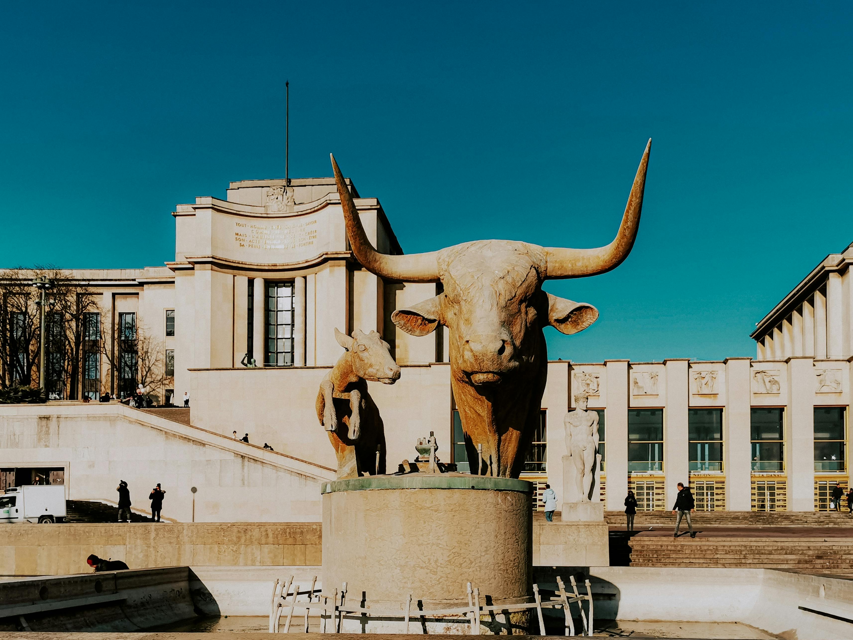 Chicago Bull Statue Photos, Download The BEST Free Chicago Bull Statue ...