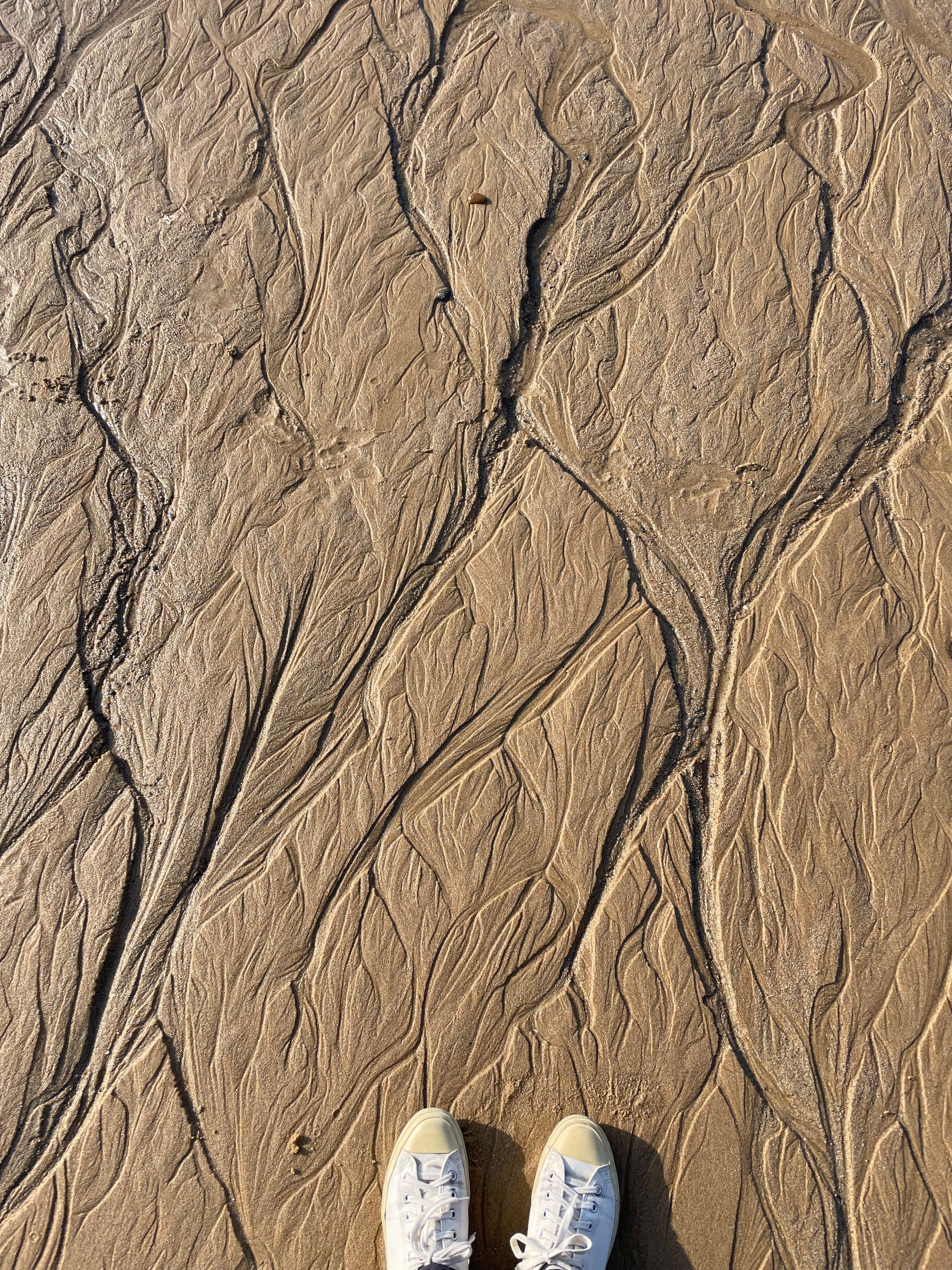 Person standing on a Soil · Free Stock Photo