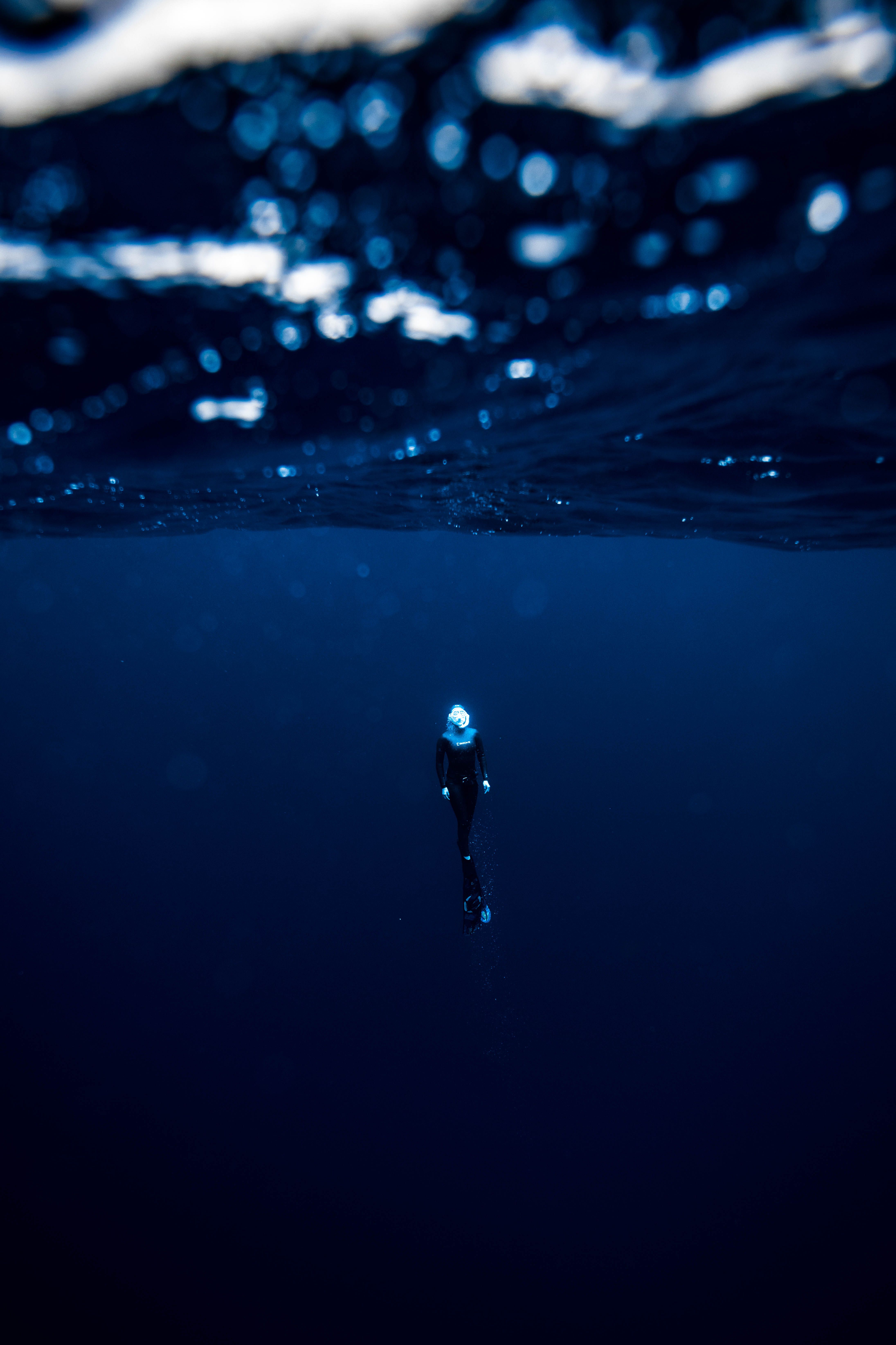 Foto de stock gratuita sobre bajo el agua, buceando, buzo, mar, oscuro ...