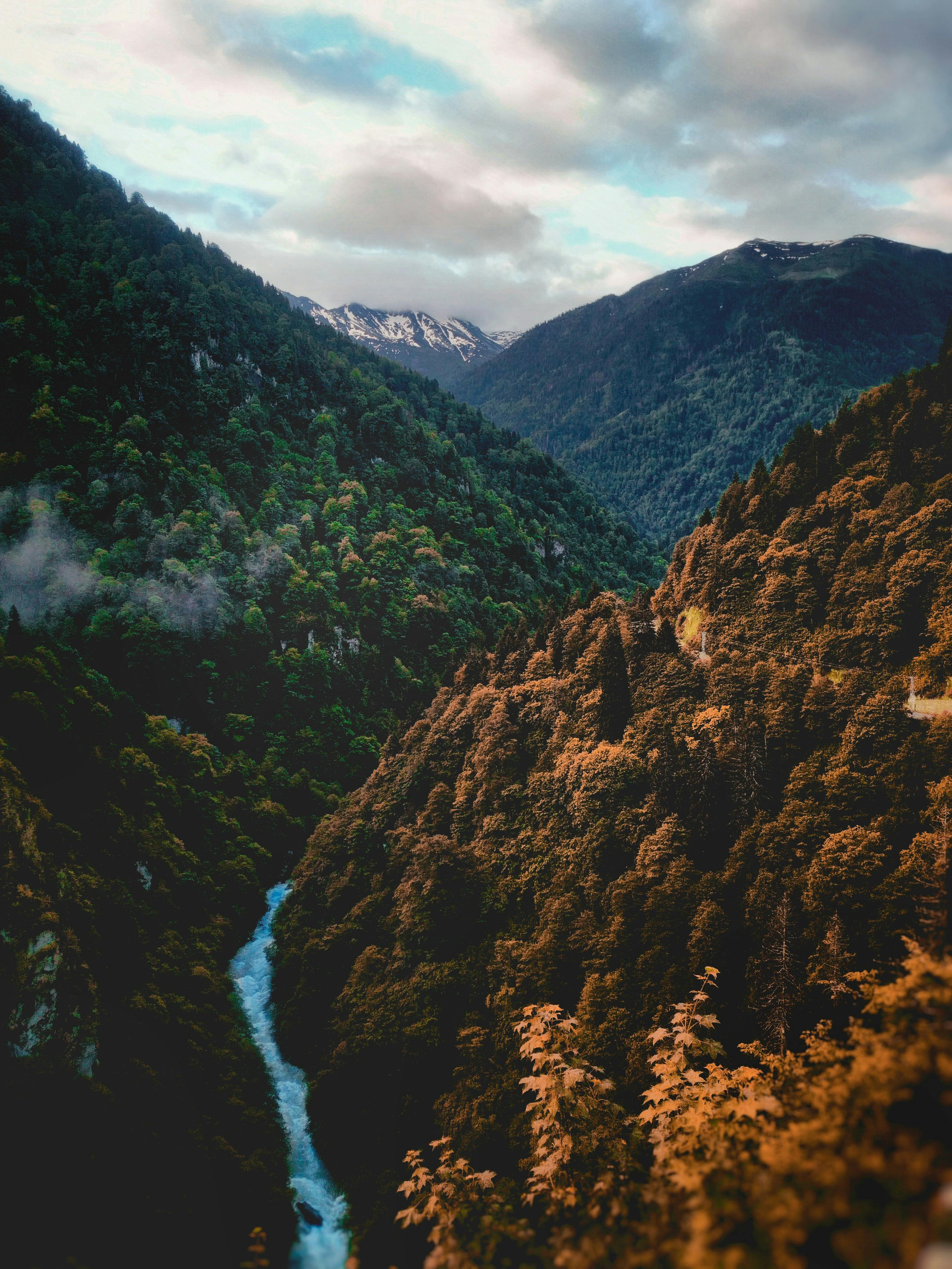 Aerial View of River in Between Mountains · Free Stock Photo