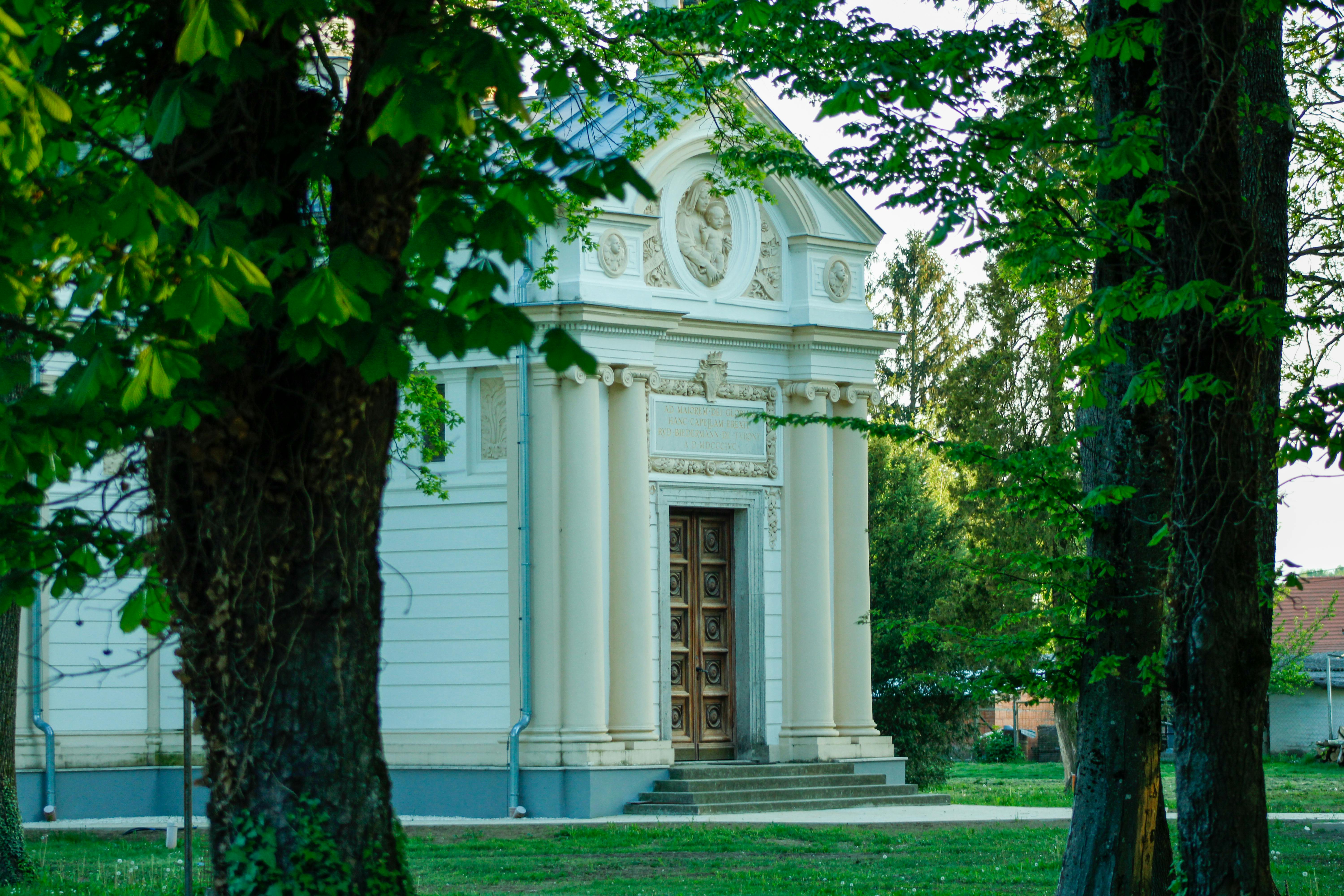 White Concrete Structure with Big Wooden Door Near Big Trees · Free ...
