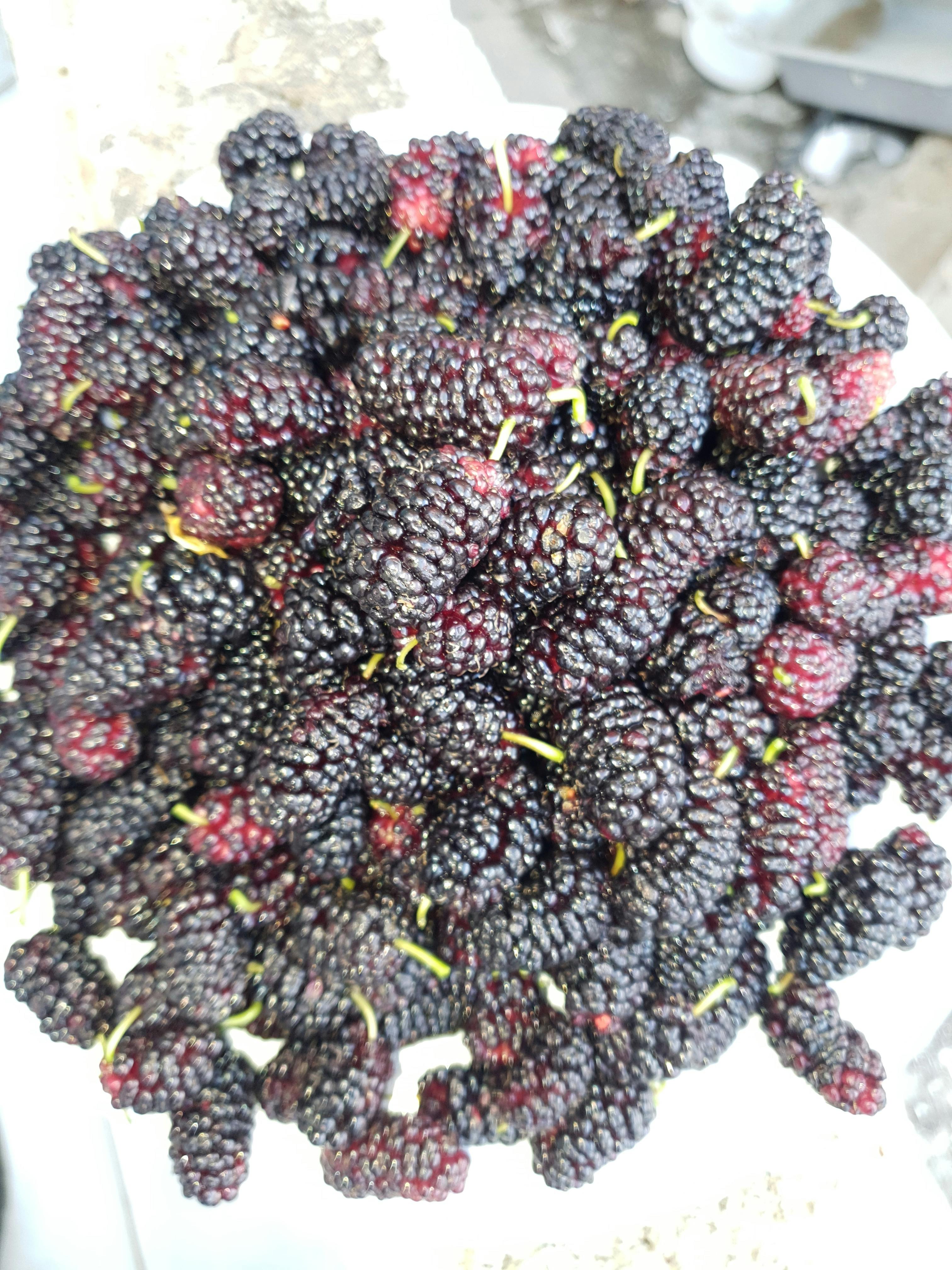 Zee Shan - Fotografía