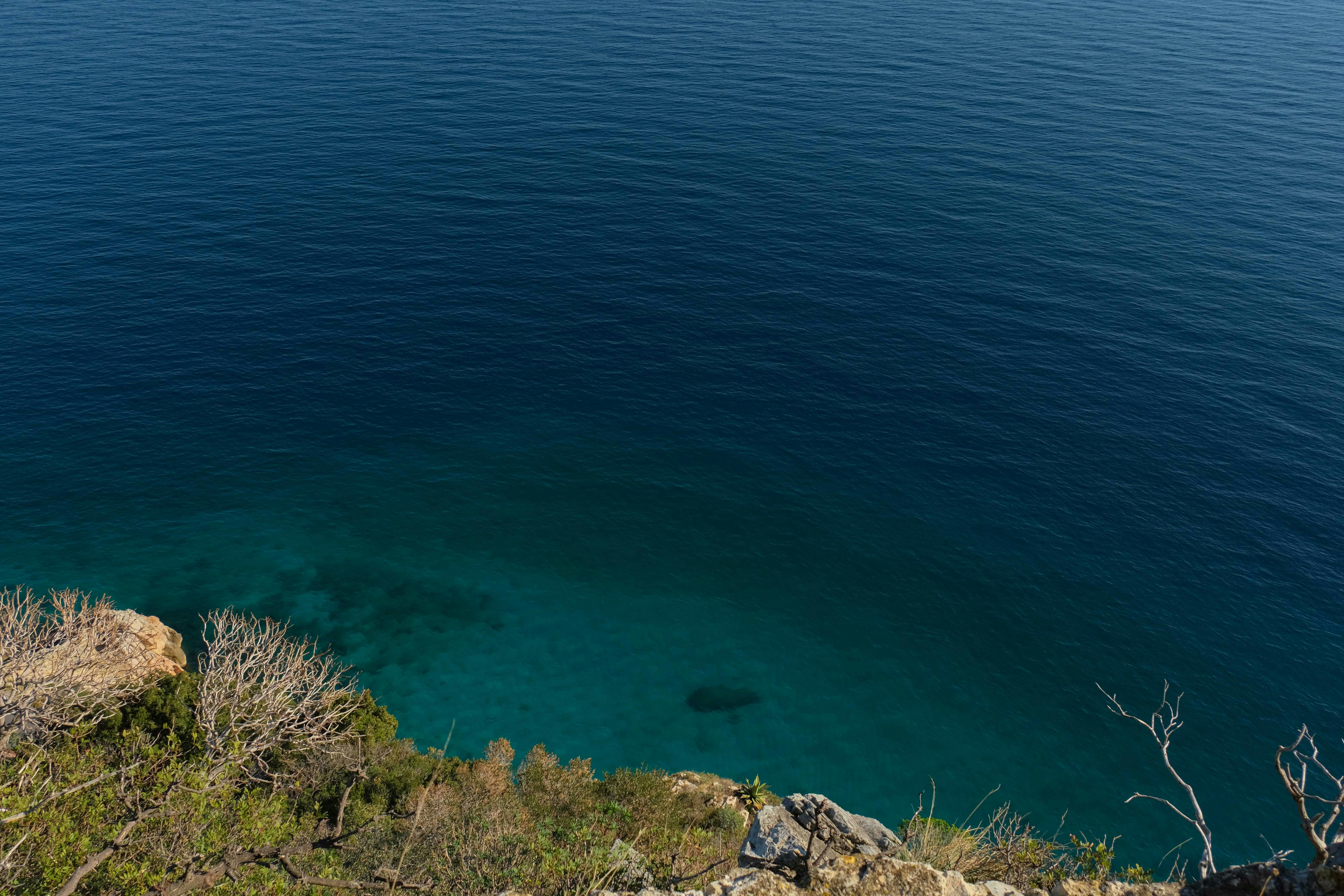 Flock of Birds Flying over Islet · Free Stock Photo