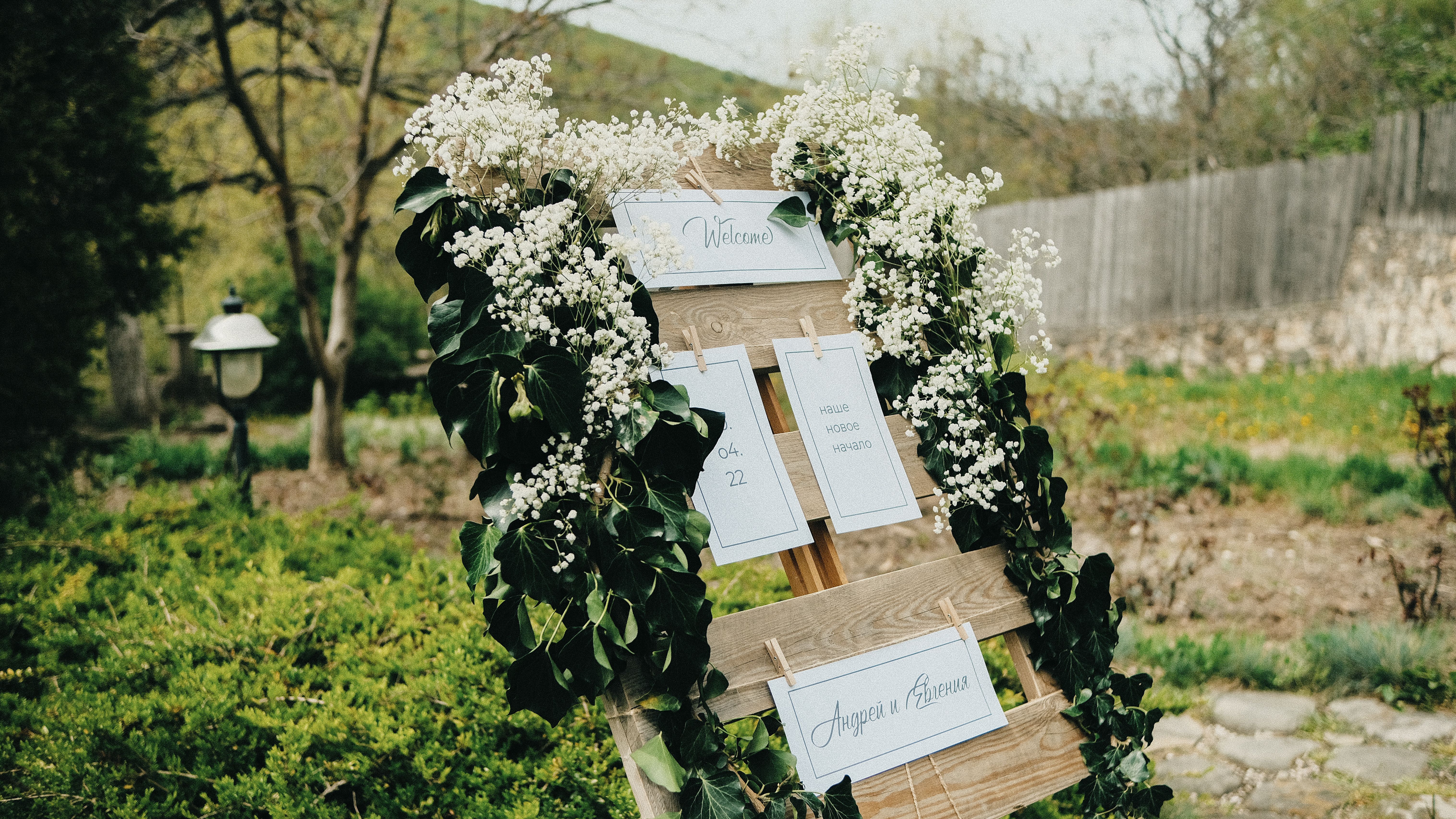 Gypsophila Flower Field Photos, Download The BEST Free Gypsophila ...