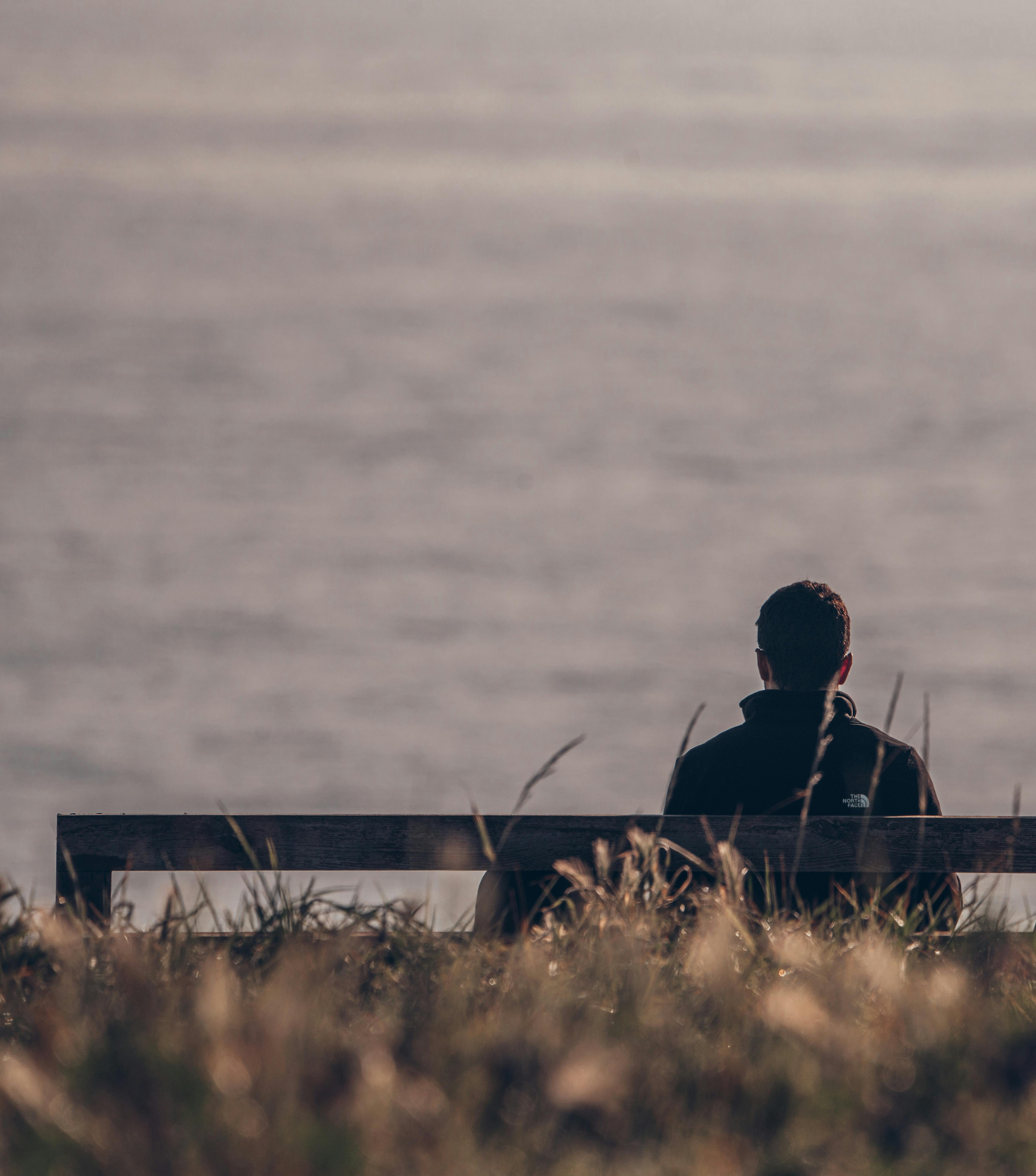 Backview of Man sitting on a Bench · Free Stock Photo