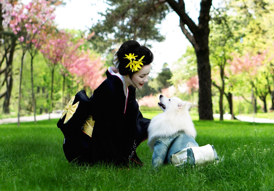 Japanese Spitz Pomeranian Mix: A Complete Guide for Owners