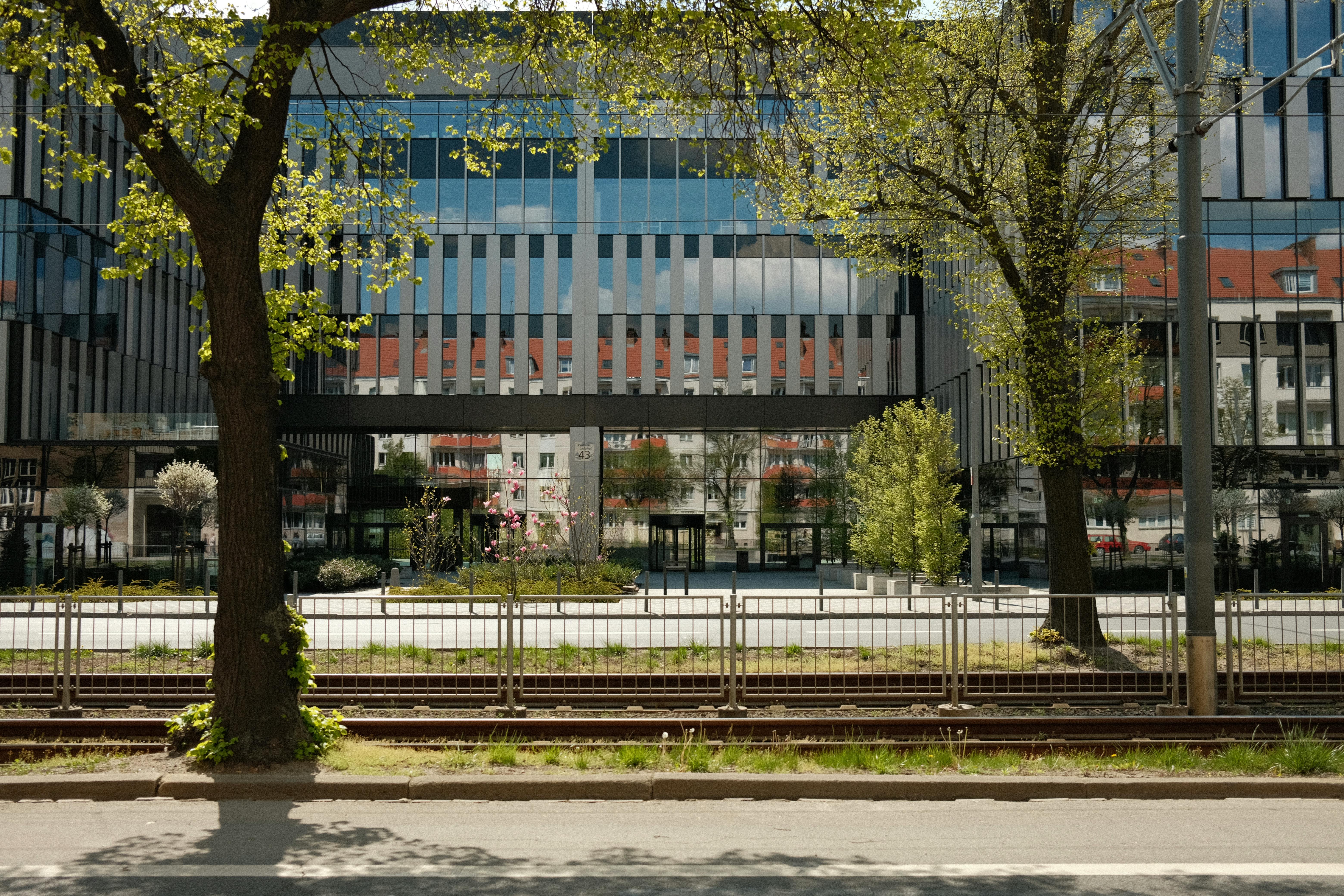 Trees near a Building · Free Stock Photo