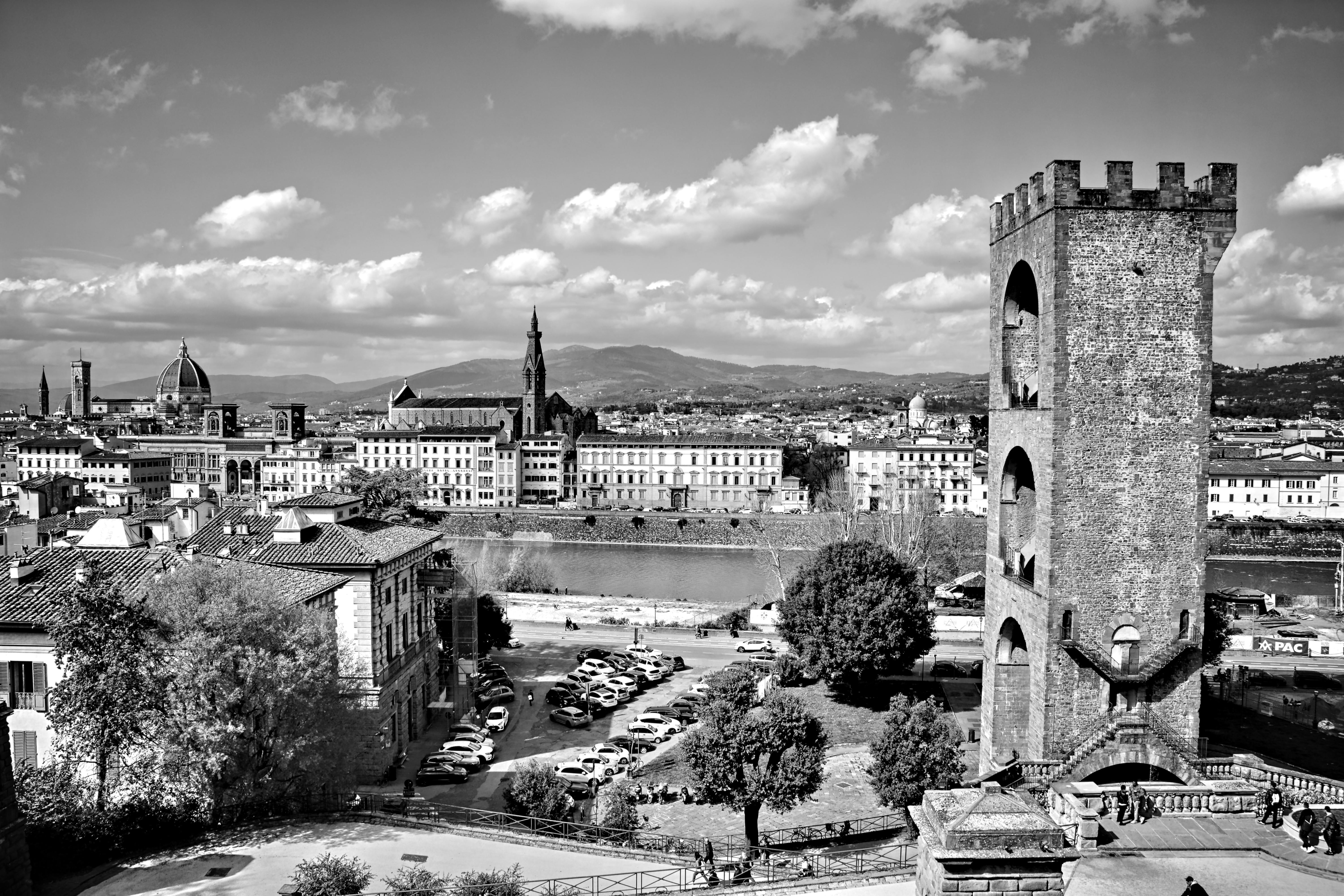Grayscale Photo of Old City Skyline · Free Stock Photo
