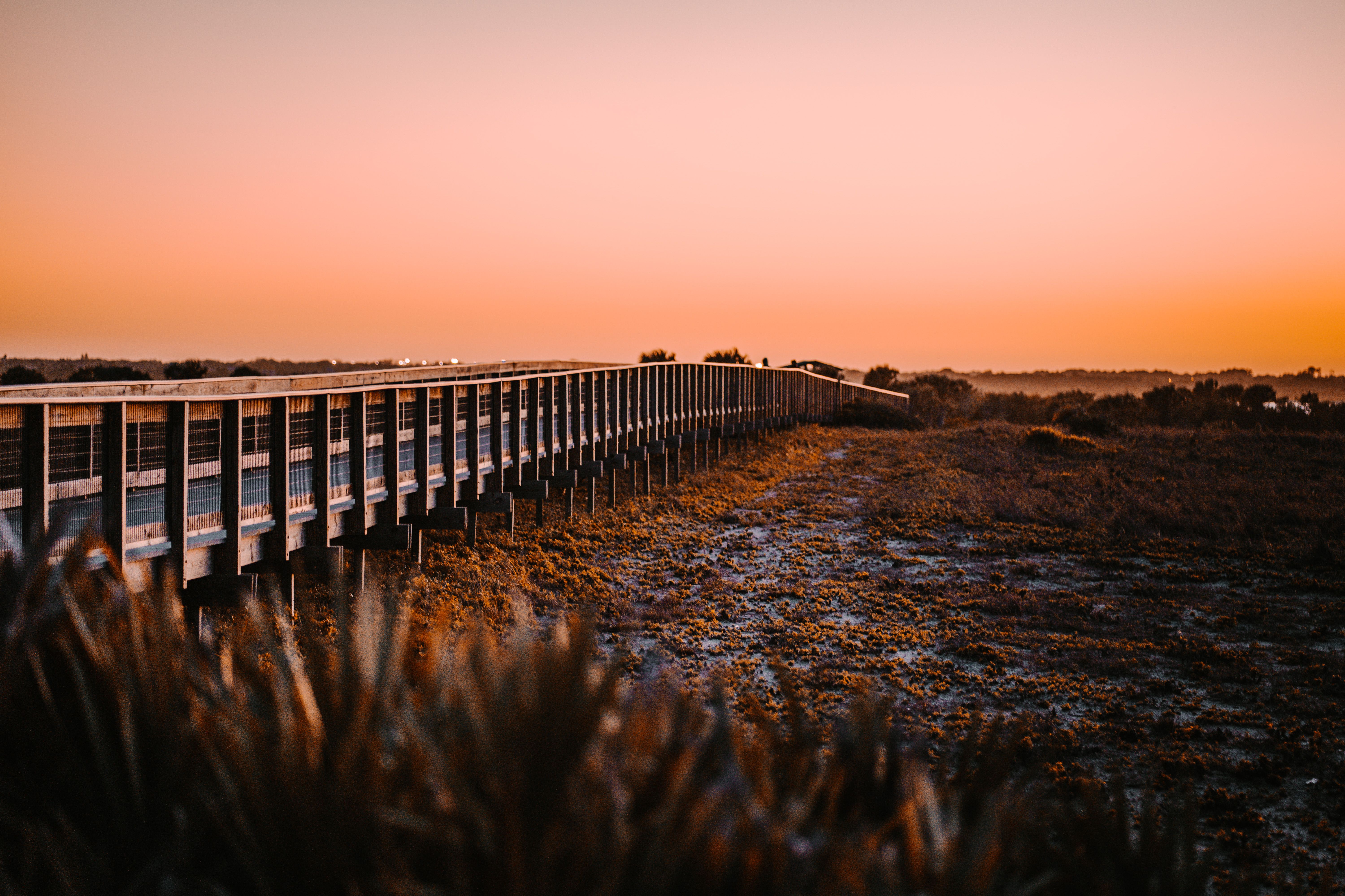 Wooden Footbridge over River Marsh Land · Free Stock Photo