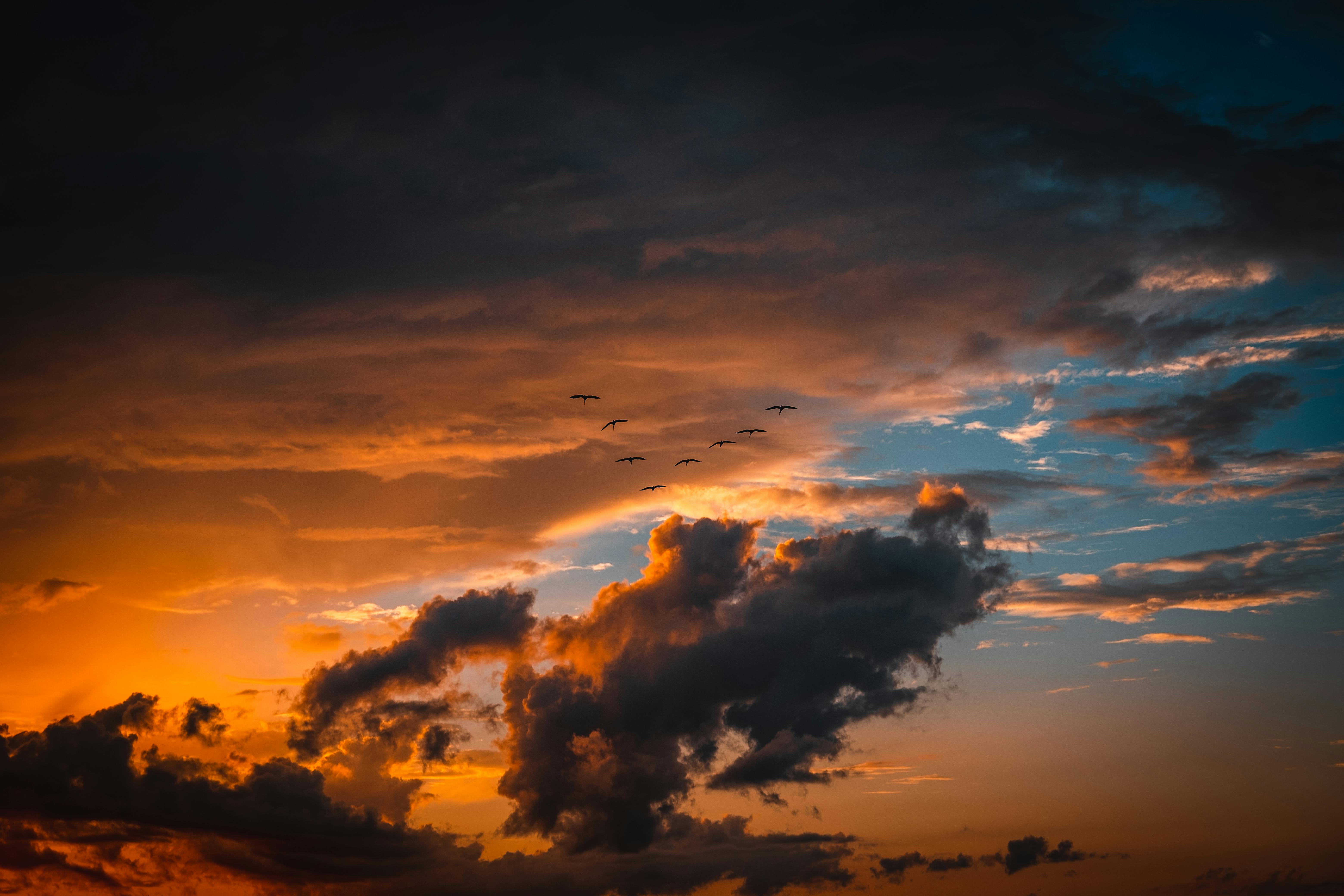 Backlit Clouds during Sunset · Free Stock Photo
