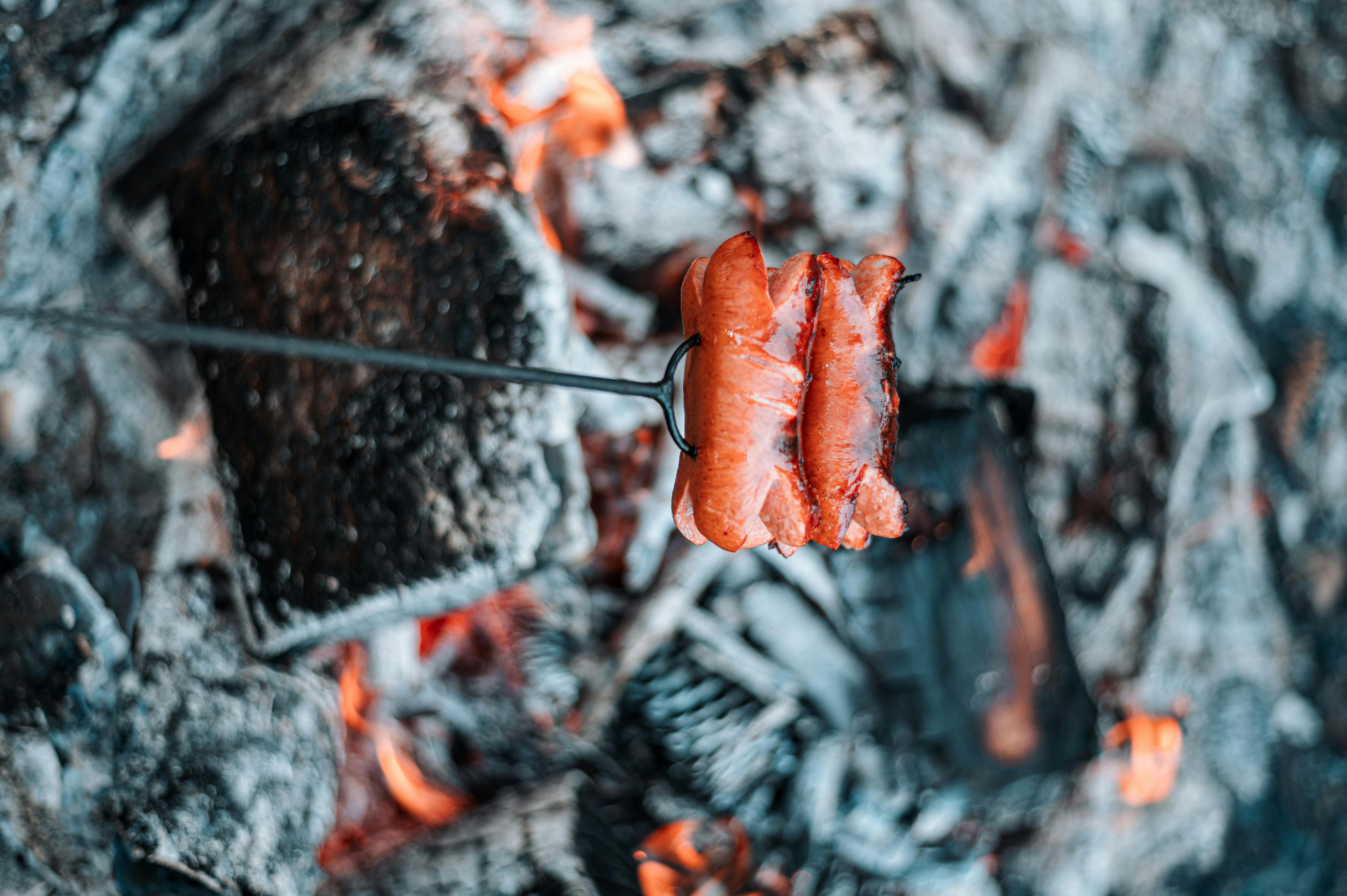 4k Barbeque Photos, Download The BEST Free 4k Barbeque Stock Photos ...