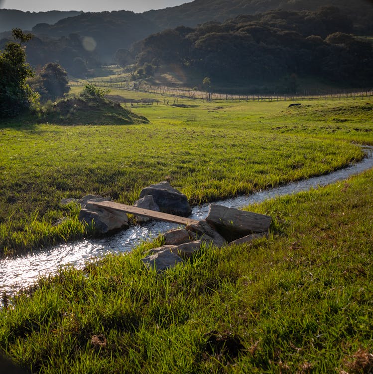 A River Between Green Grass Field · Free Stock Photo A River Between Green Grass Field · Free Stock Photo