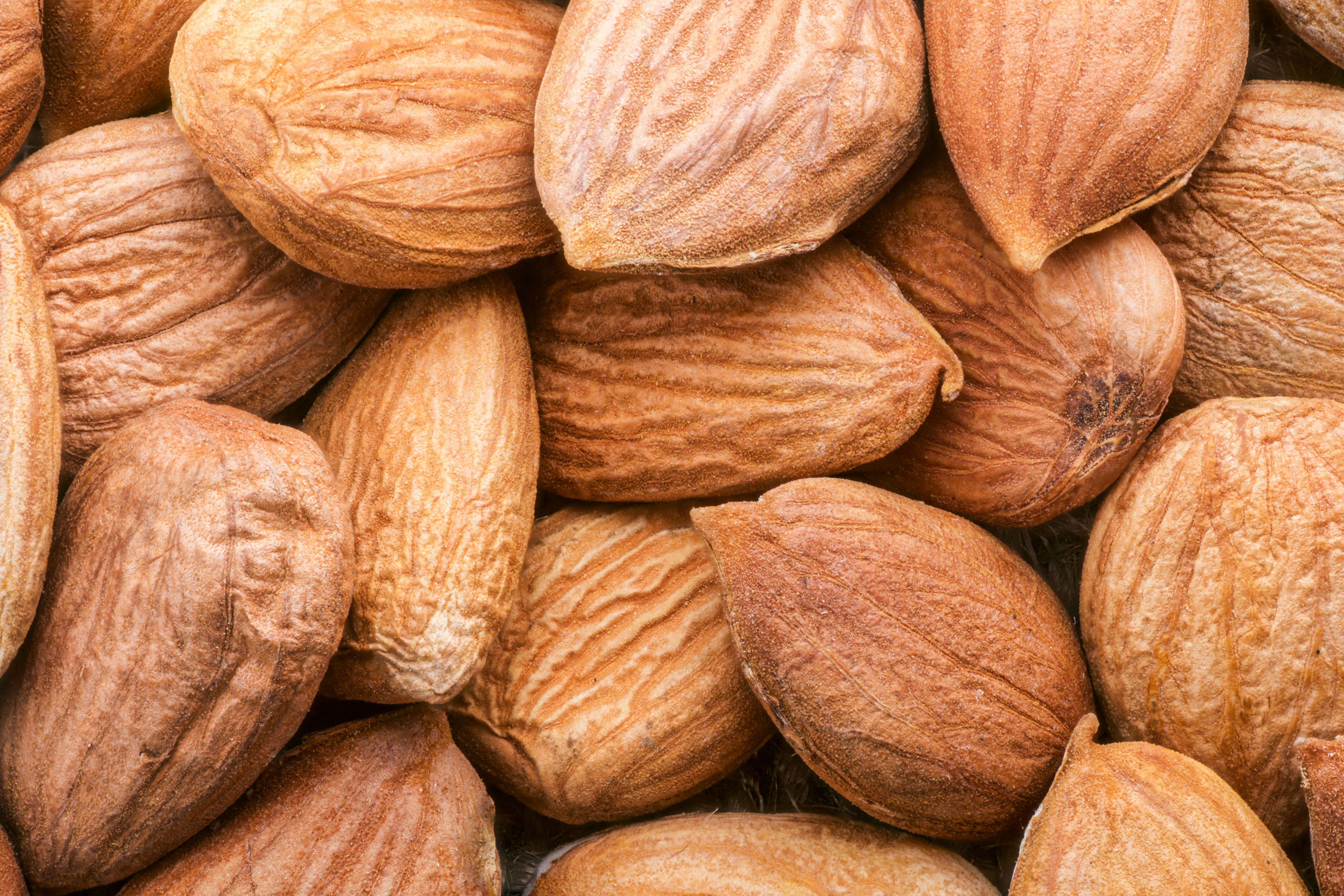Close Up Photo of Almonds · Free Stock Photo