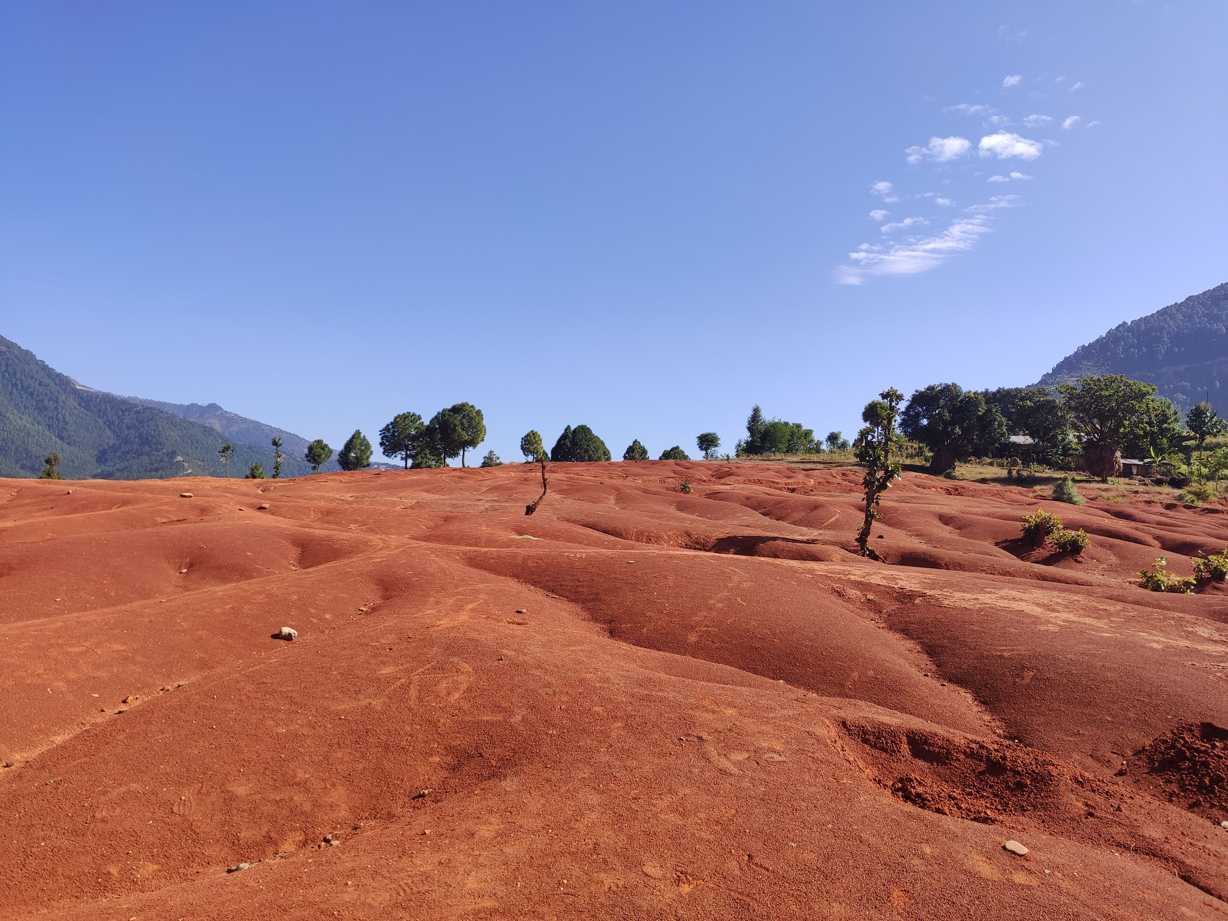 Brown Soil · Free Stock Photo