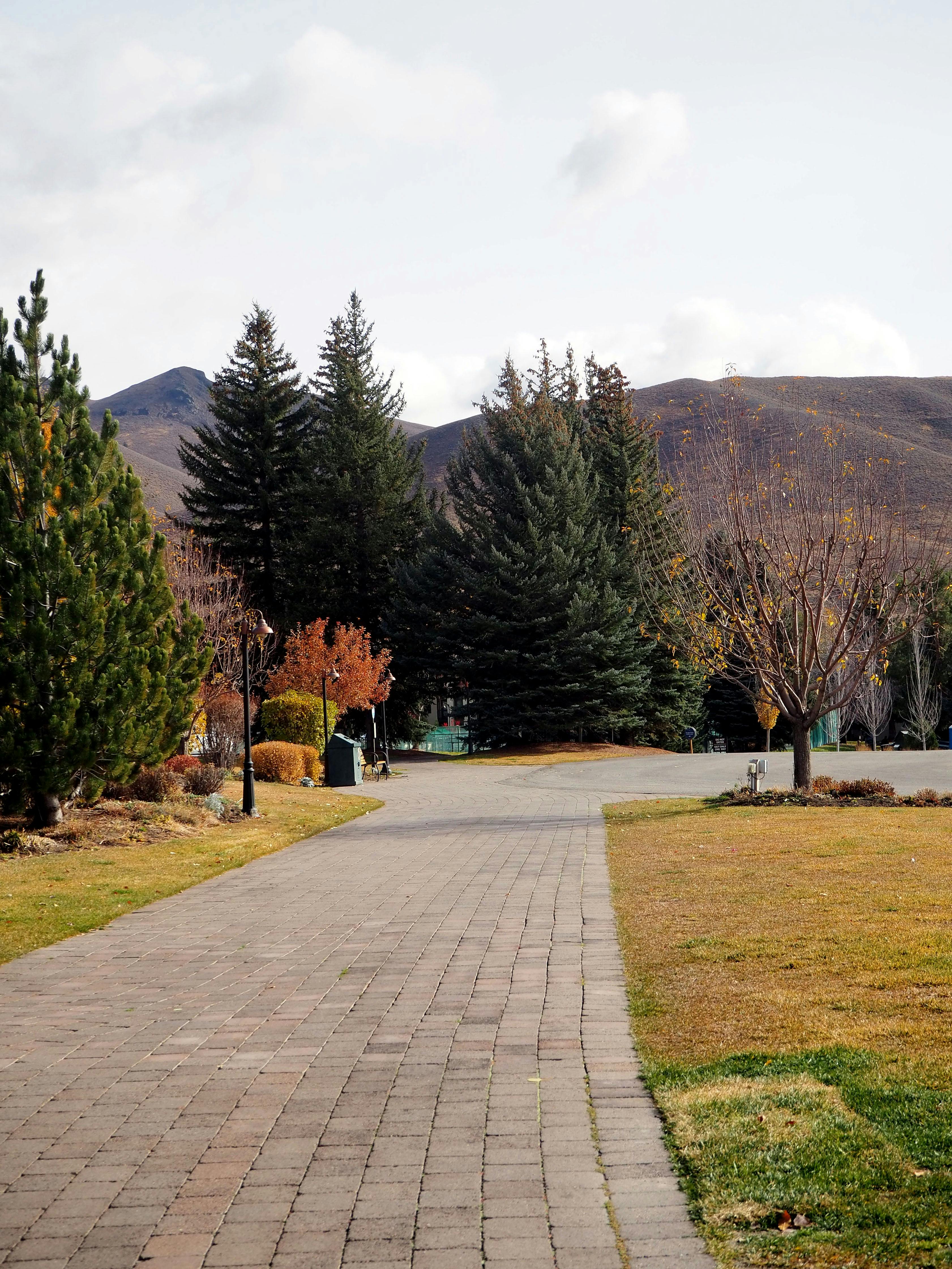 Secret Pathway Photos, Download The BEST Free Secret Pathway Stock ...