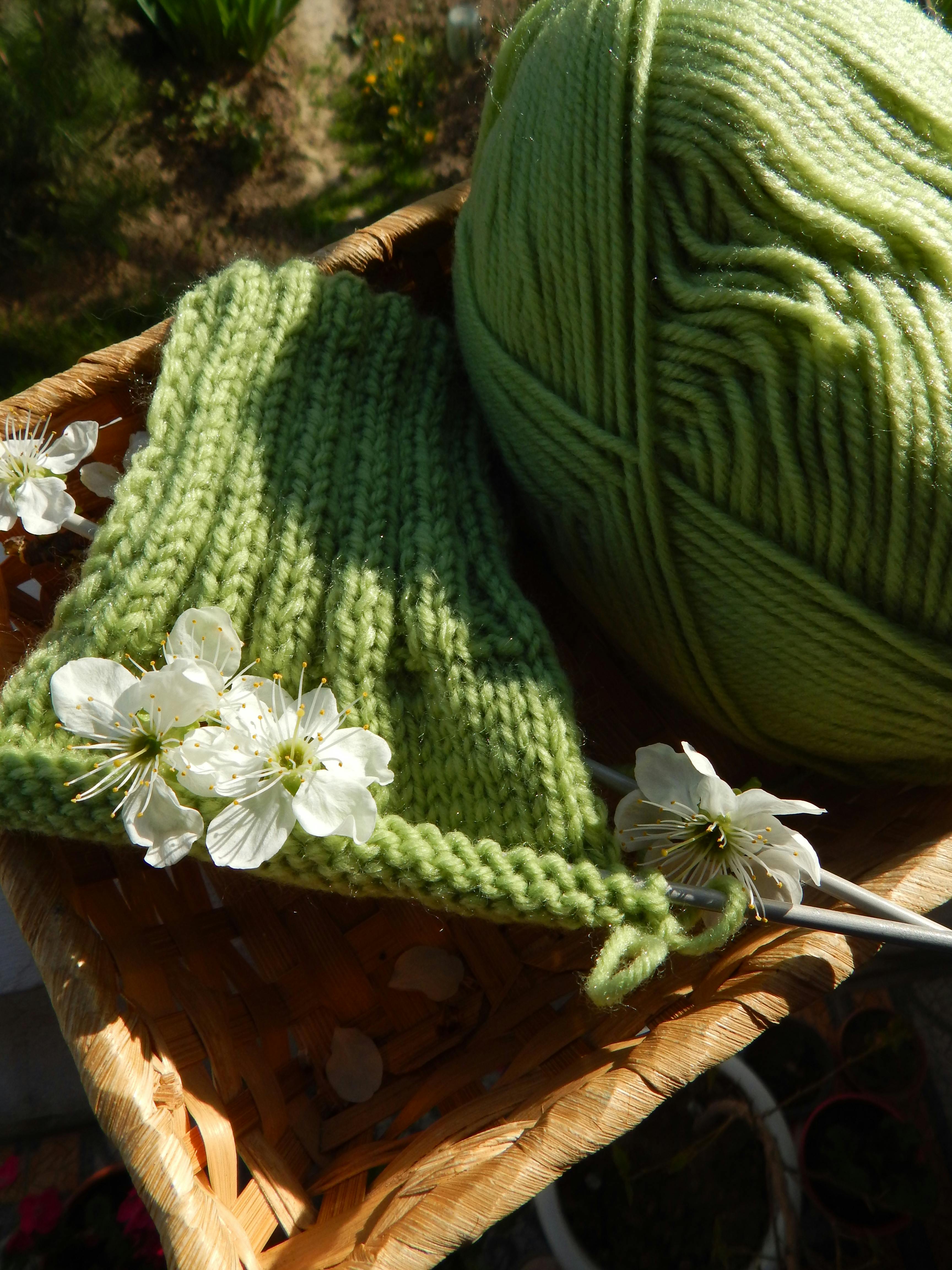 Photo Of Person Holding Wool · Free Stock Photo