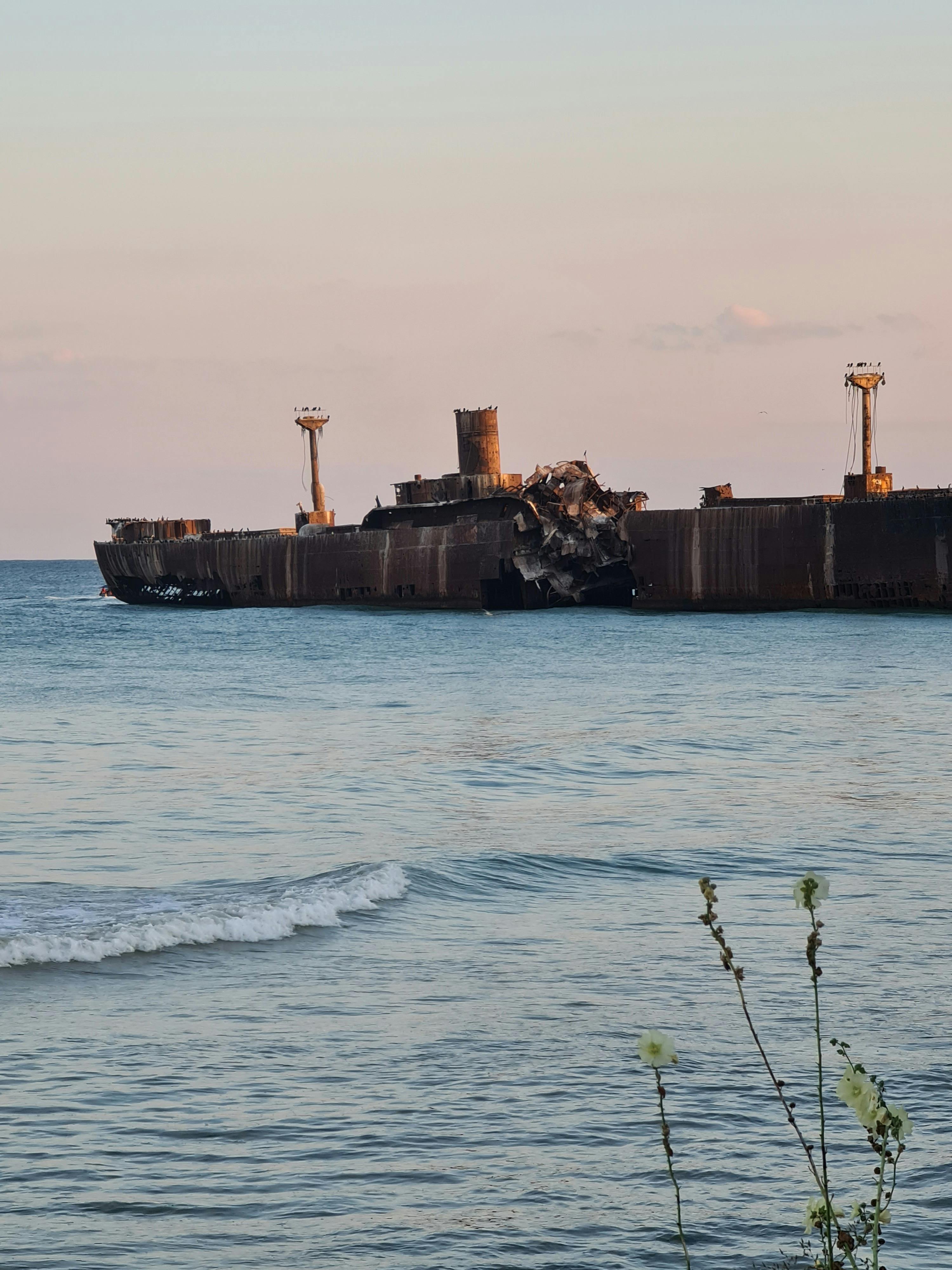 Destroyed Marine Life Photos, Download The BEST Free Destroyed Marine ...