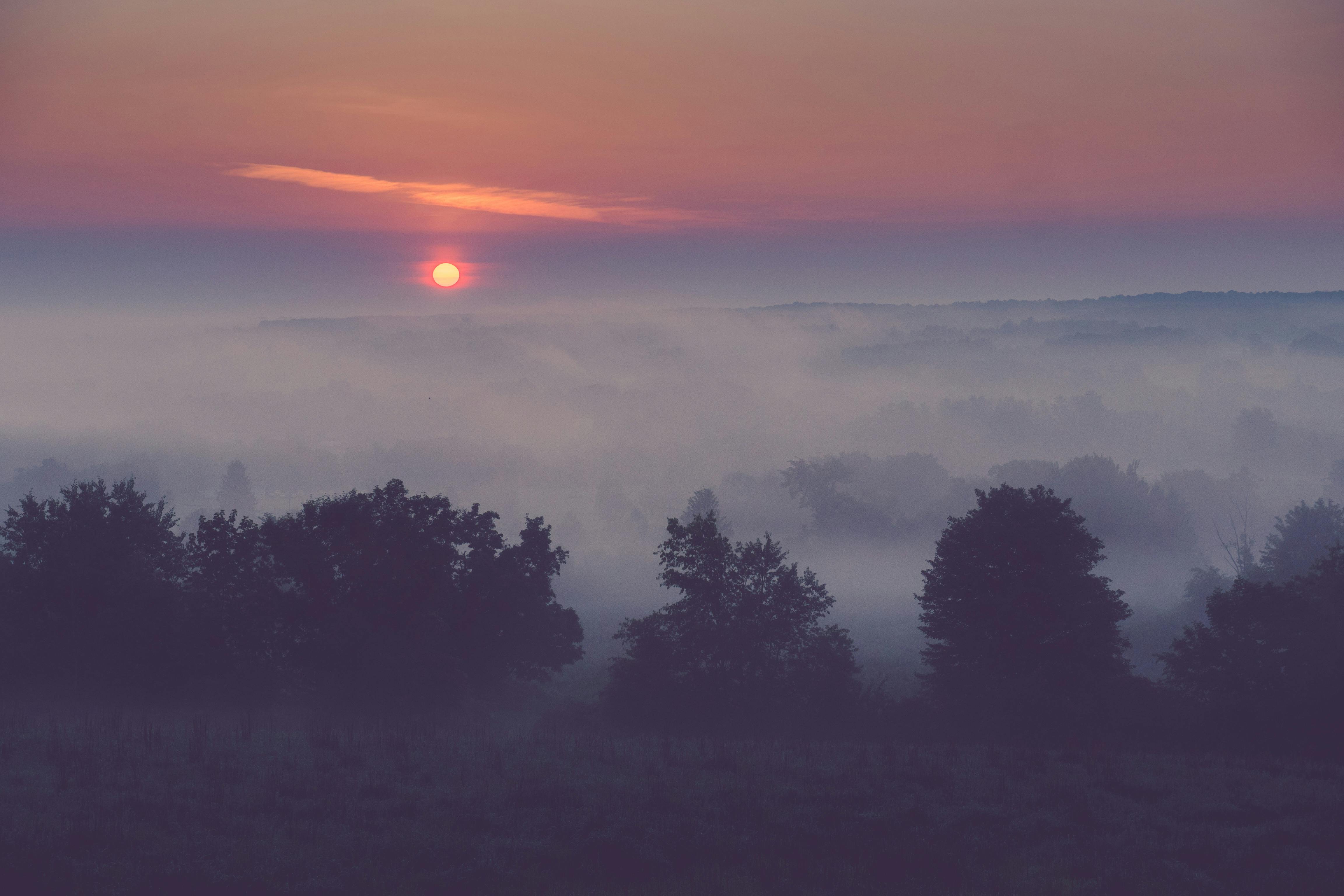 Free stock photo of background image, beautiful, early morning