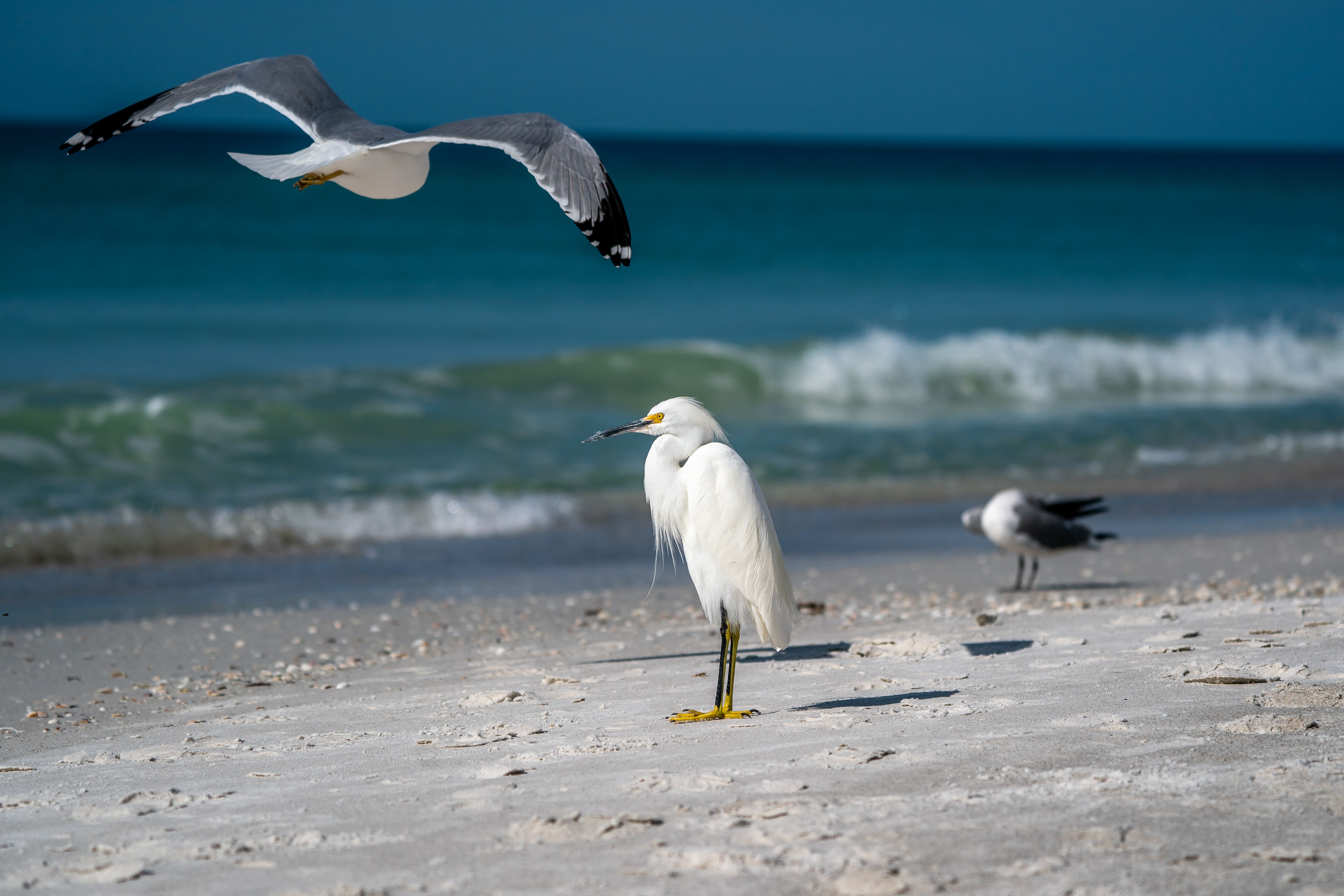 Beach Water Photos, Download The BEST Free Beach Water Stock Photos ...