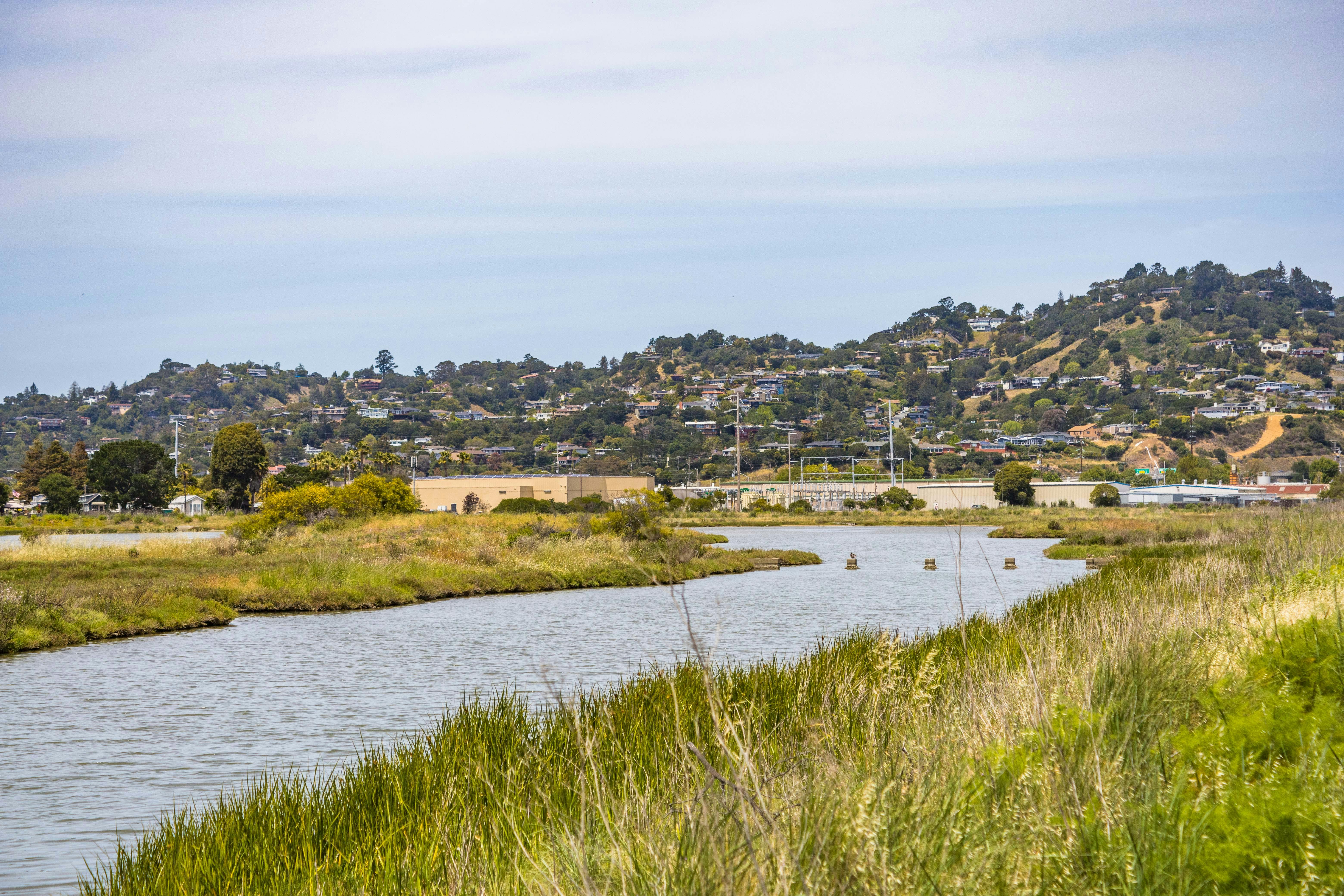 Grassy Banks of Meandering River · Free Stock Photo