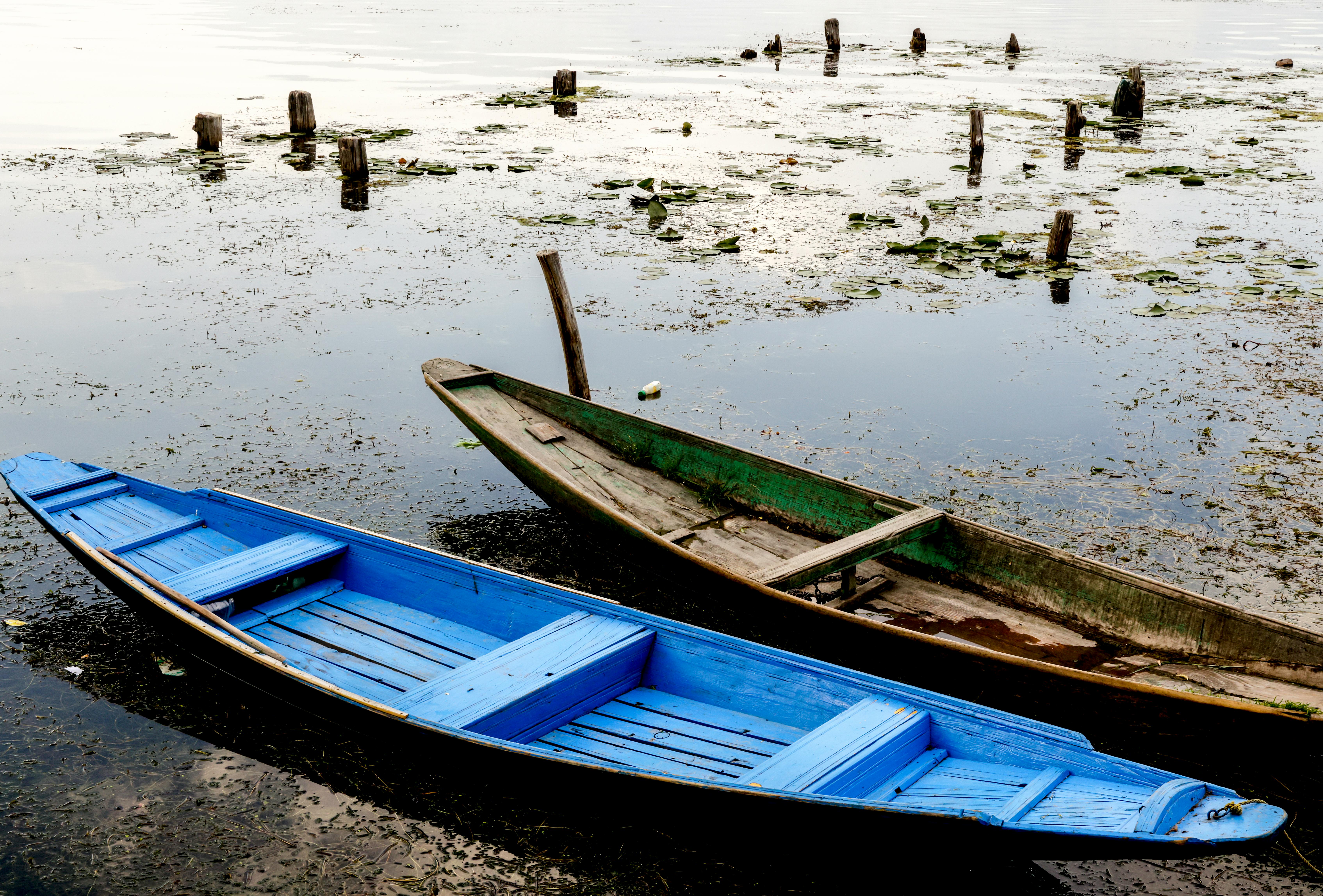 Flat Bottom Fisher Boats Moored at Shore · Free Stock Photo