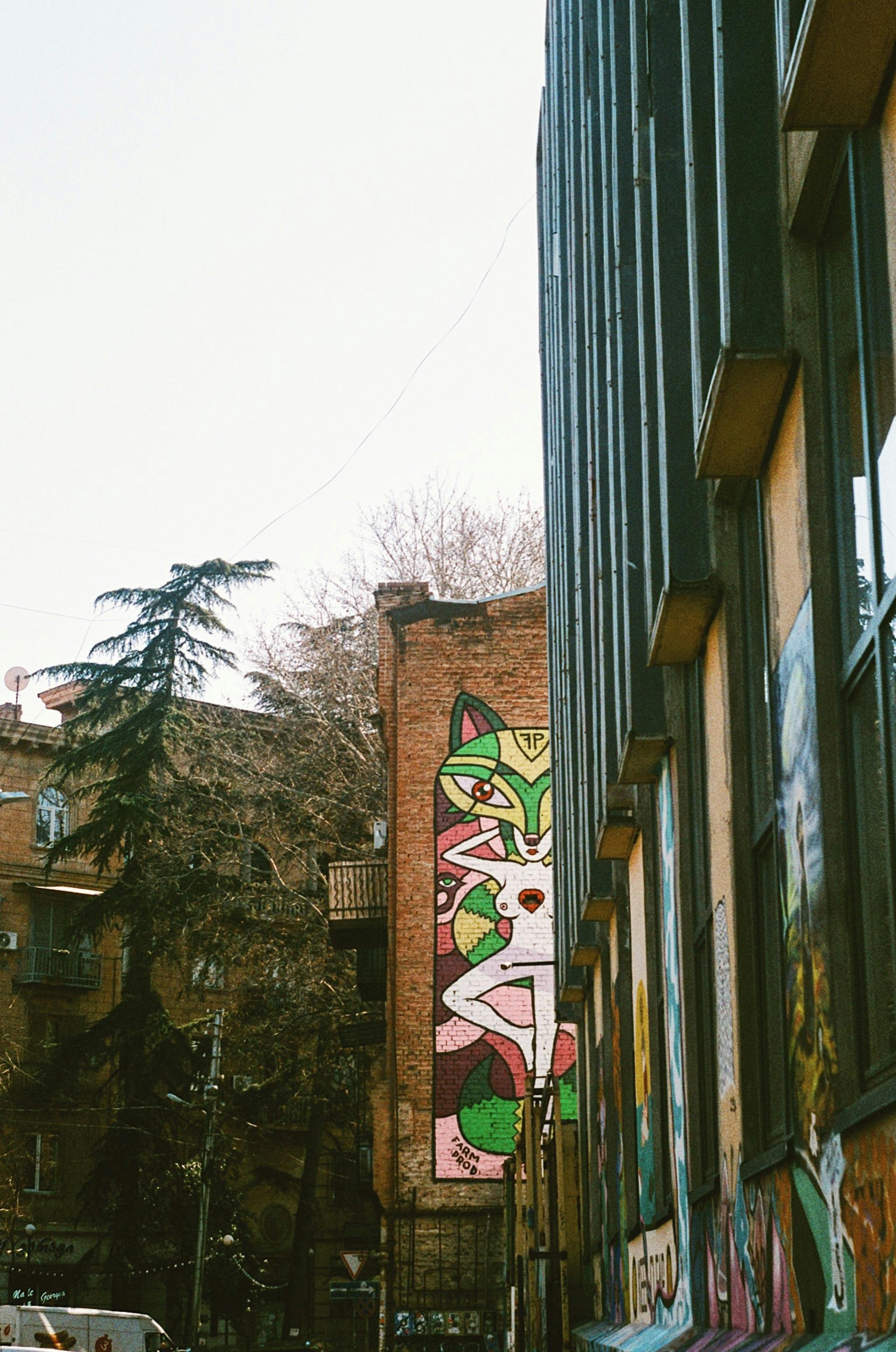 House facade with bright graffiti wall in town · Free Stock Photo