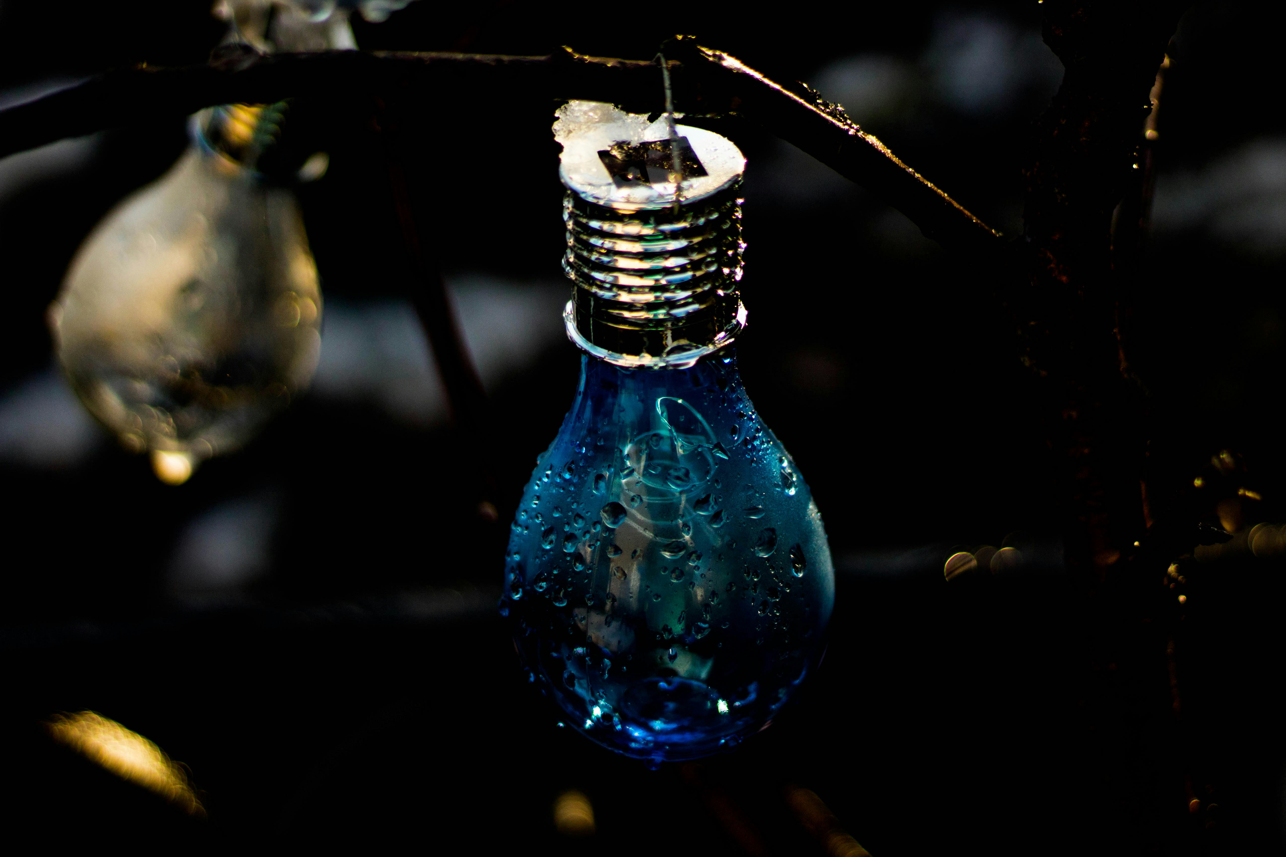 Closeup Photo of Blue Light Bulb · Free Stock Photo