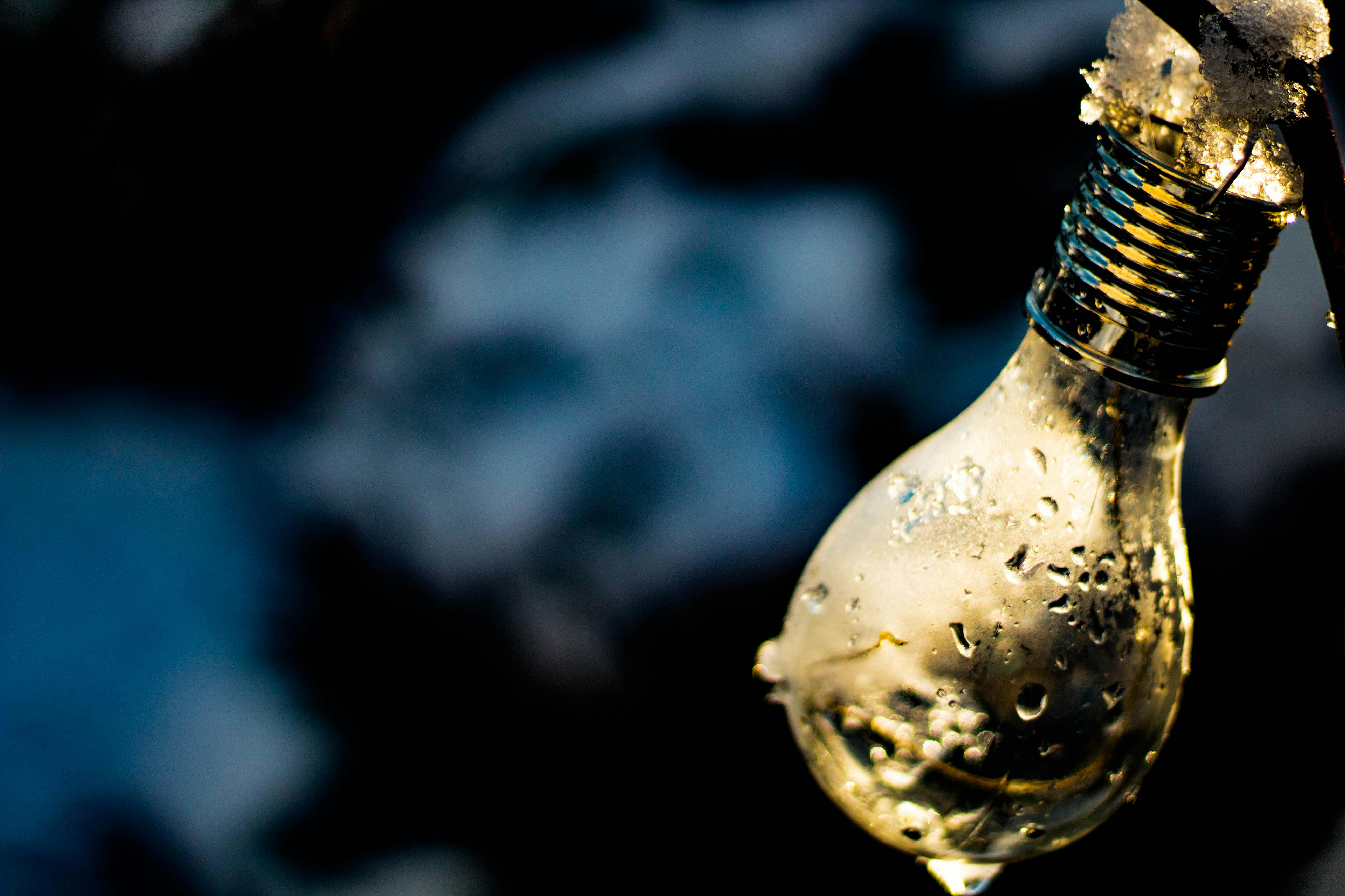 Free stock photo of cold, garden, lighbulb