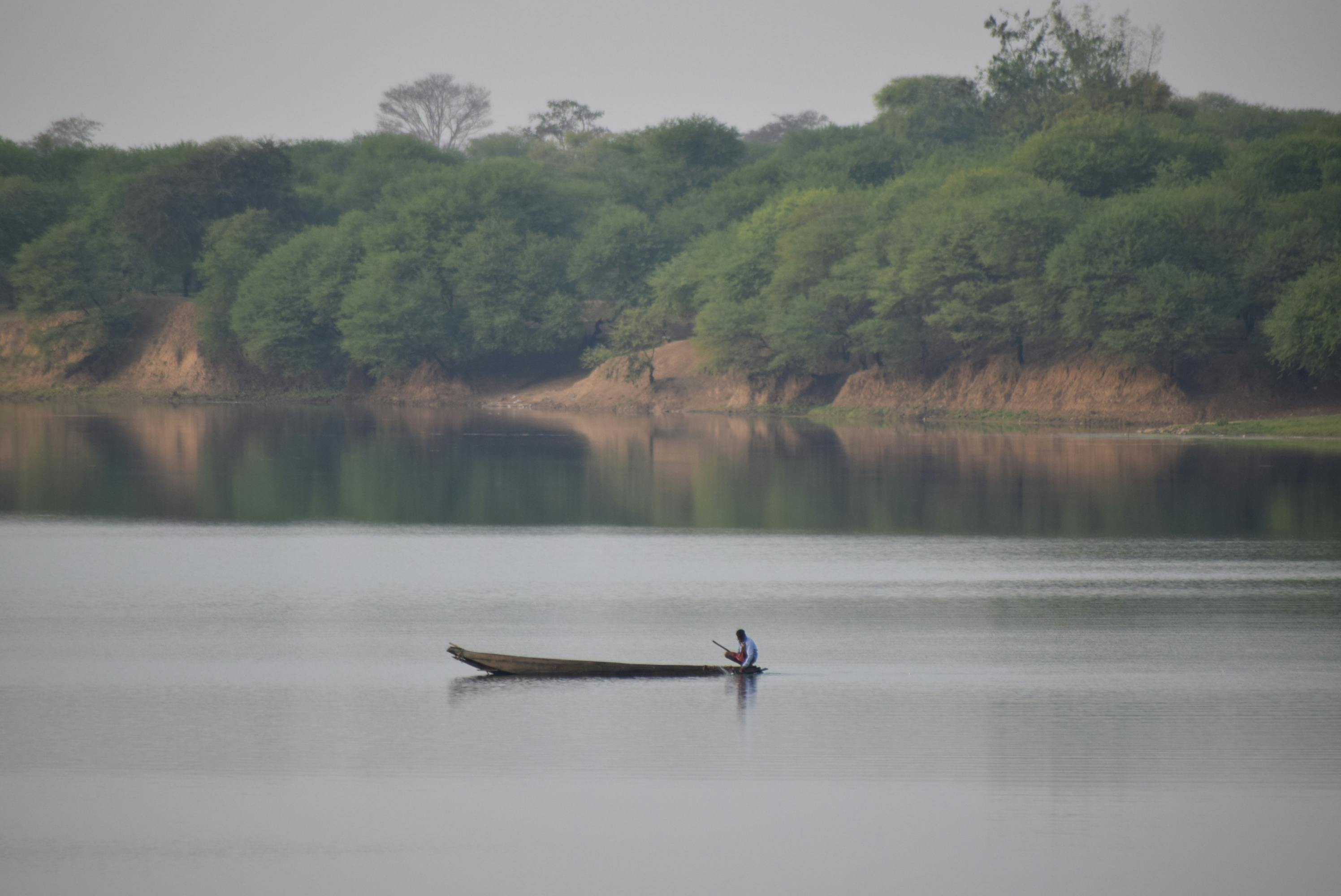 meena bodra - การถ่ายภาพ