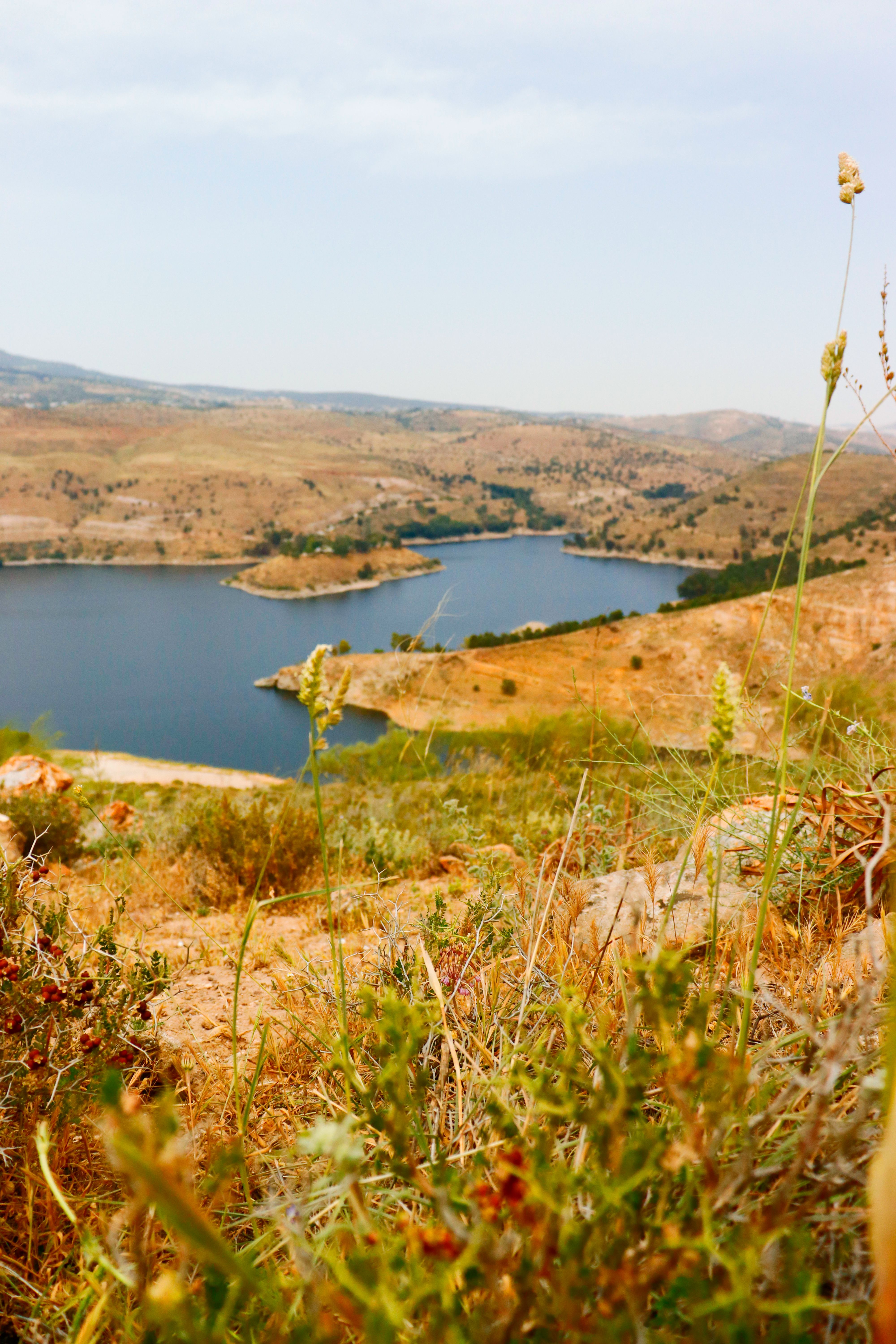 View of a Lake · Free Stock Photo