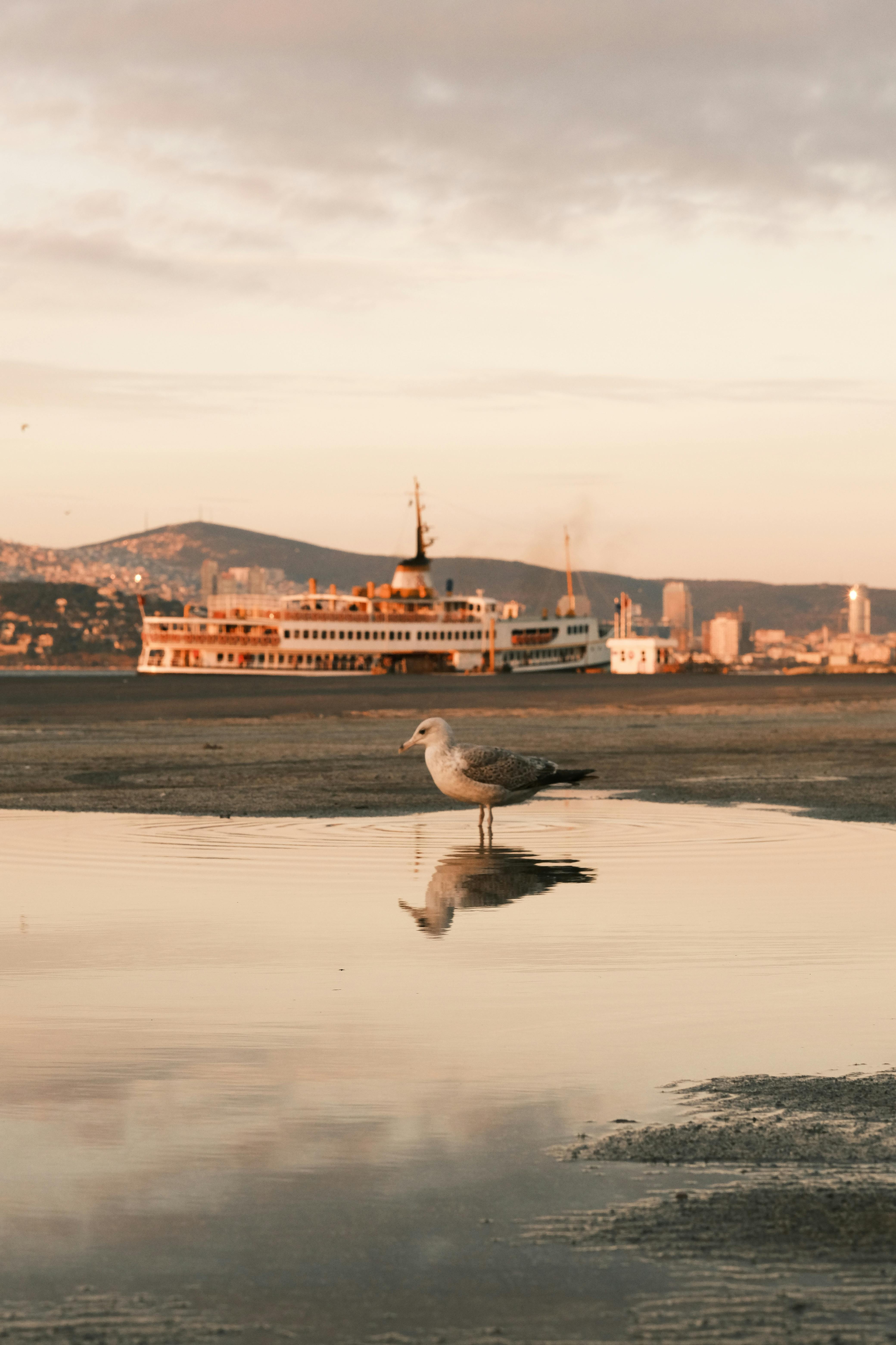 9,000+ Best Ship Hull Photos · 100% Free Download · Pexels Stock Photos