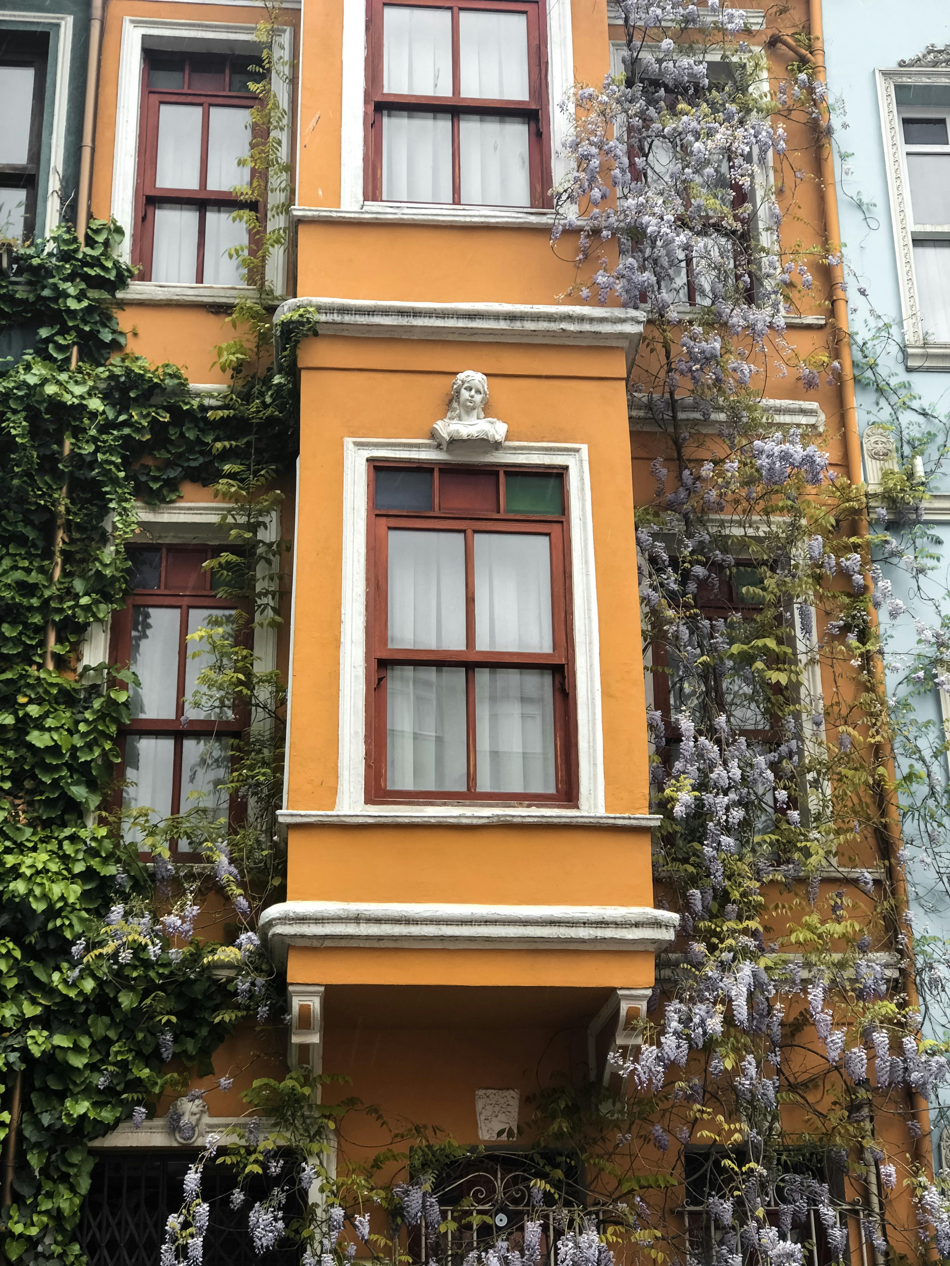 Plants Growing on Building Facade · Free Stock Photo