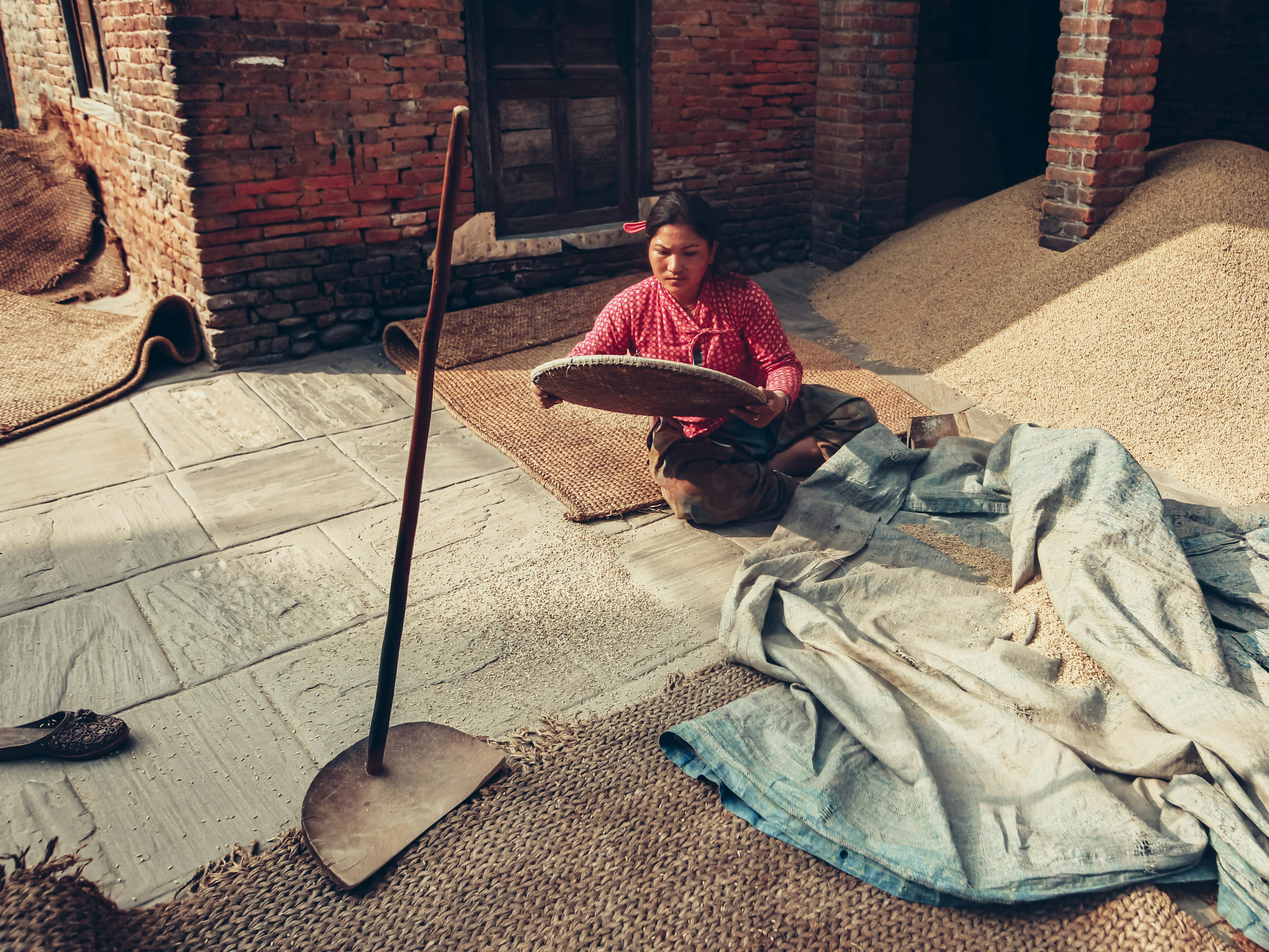 Sieving Photos, Download The BEST Free Sieving Stock Photos & HD Images