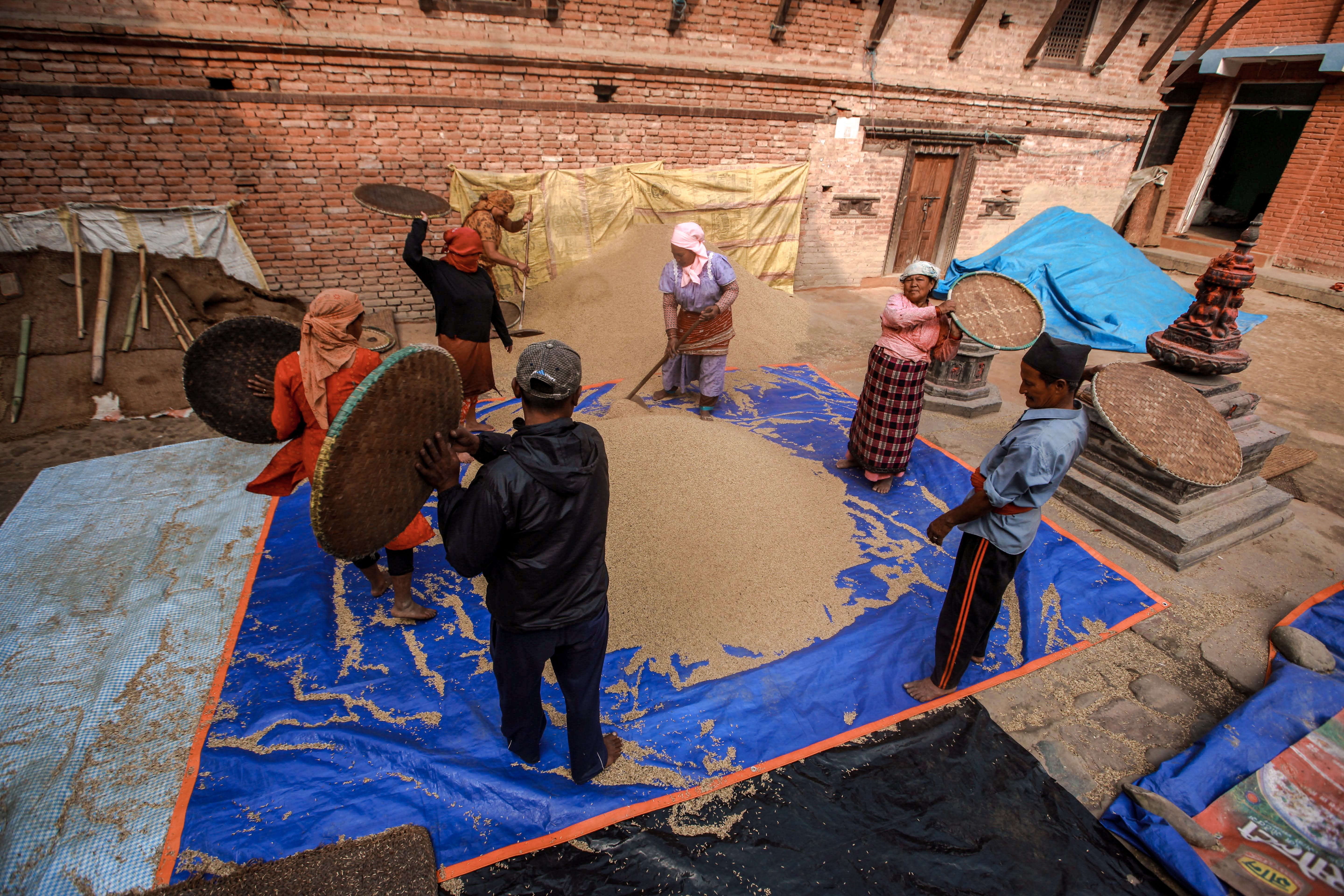 People Standing on a Mat with Grains Holding Winnowing Baskets · Free ...