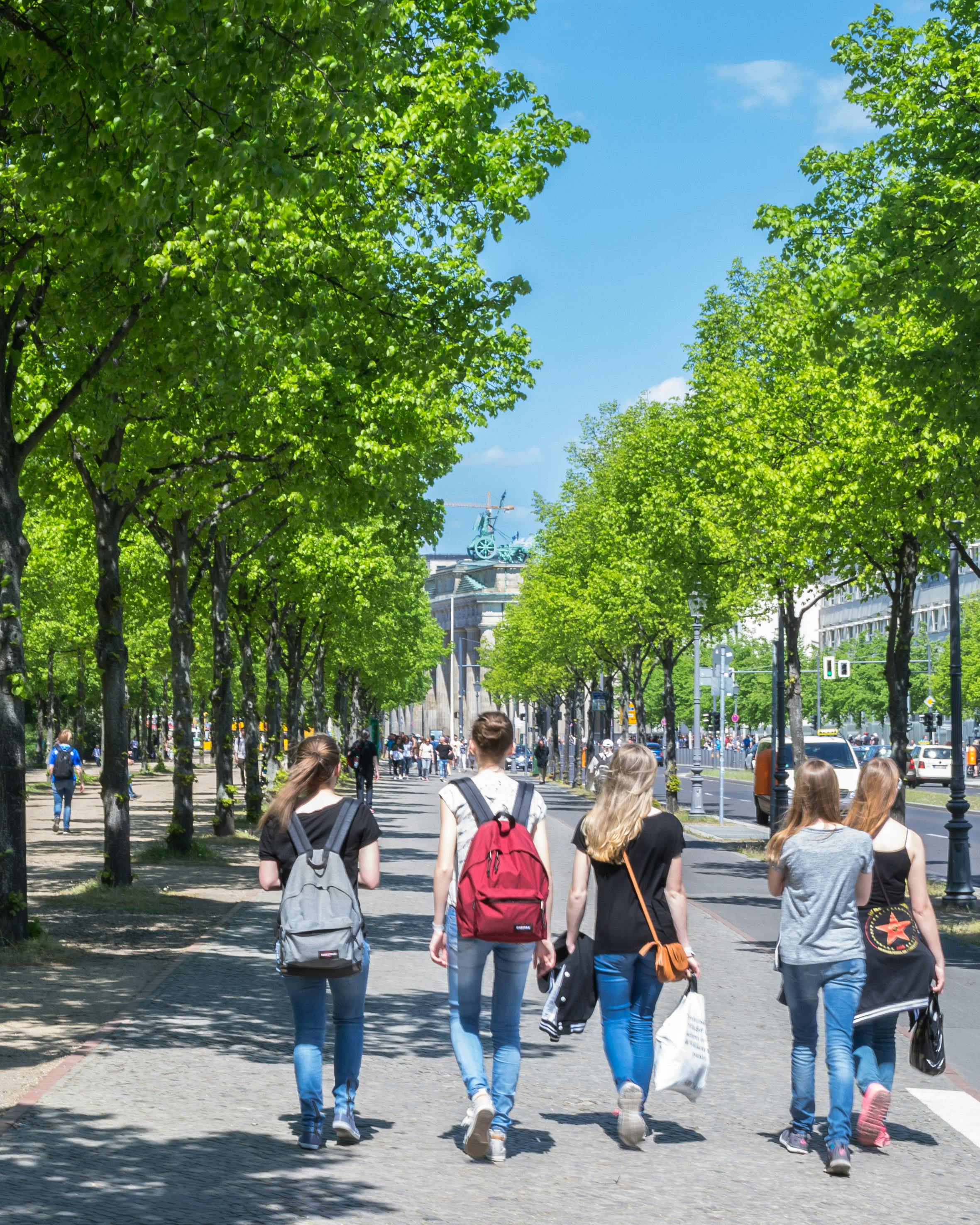 People Walking on the Street Between Green Trees · Free Stock Photo